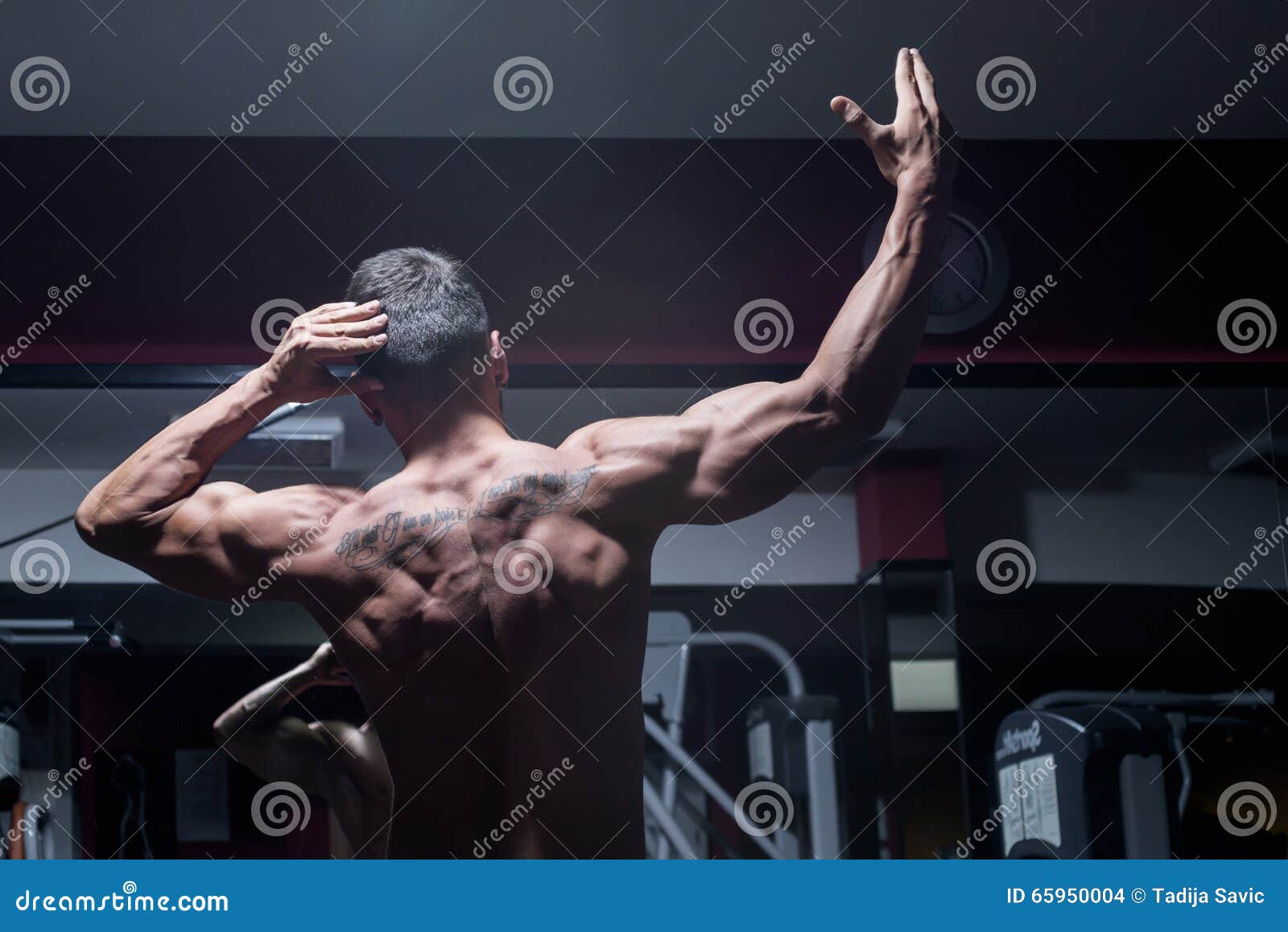 Bodybuilder from back stock photo. Image of builder, confident - 65950004