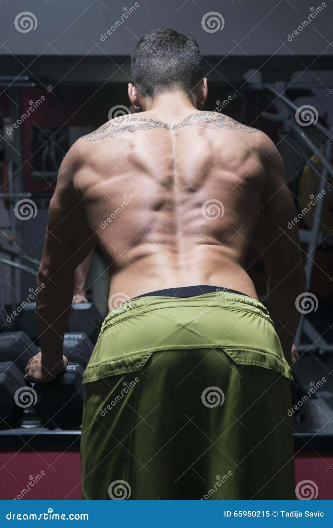 Bodybuilder from back stock image. Image of cross, fitness - 65950215