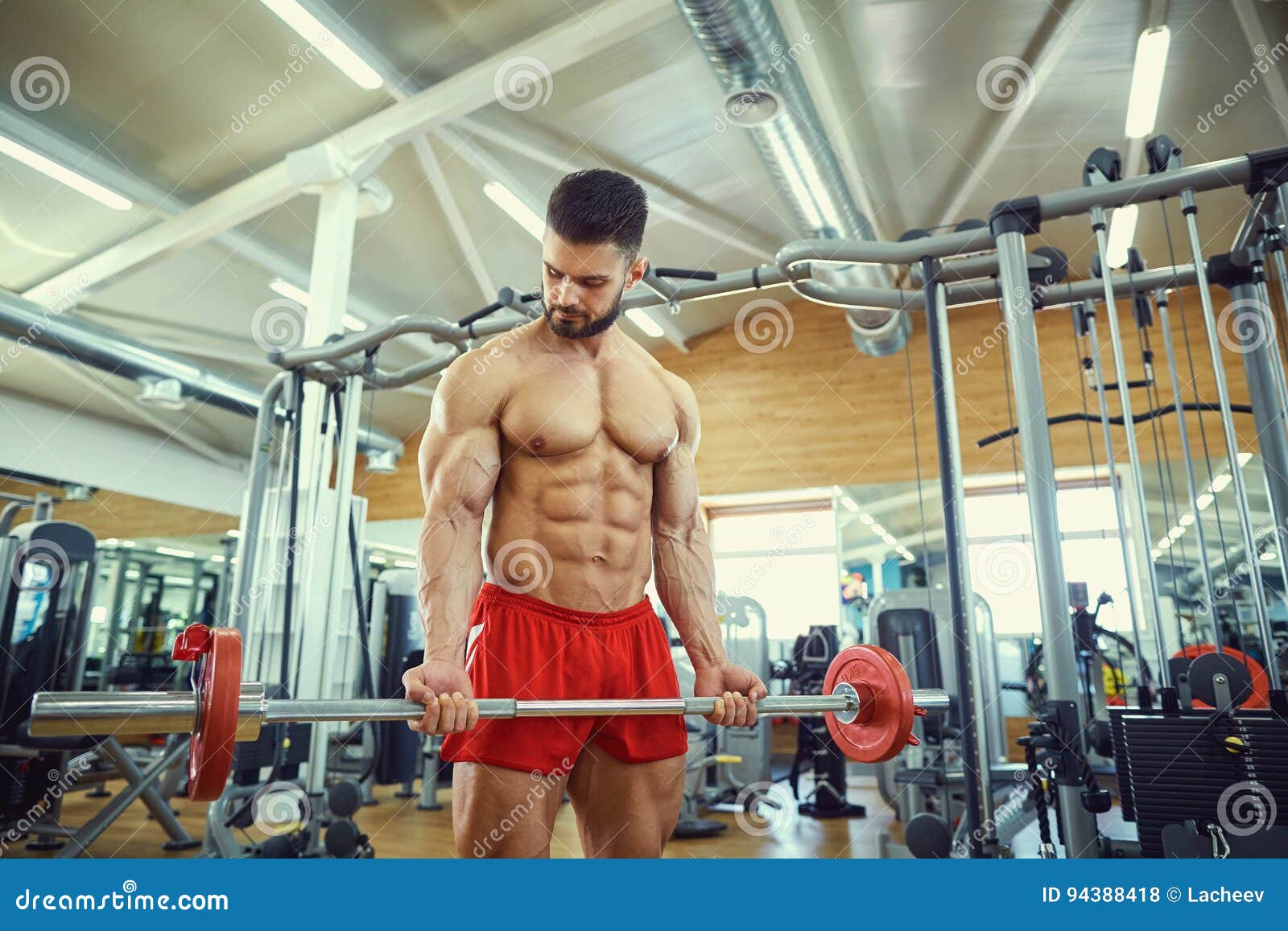 Bodybuilder with a Beard with Bar Barbell in the Gym Stock Photo ...