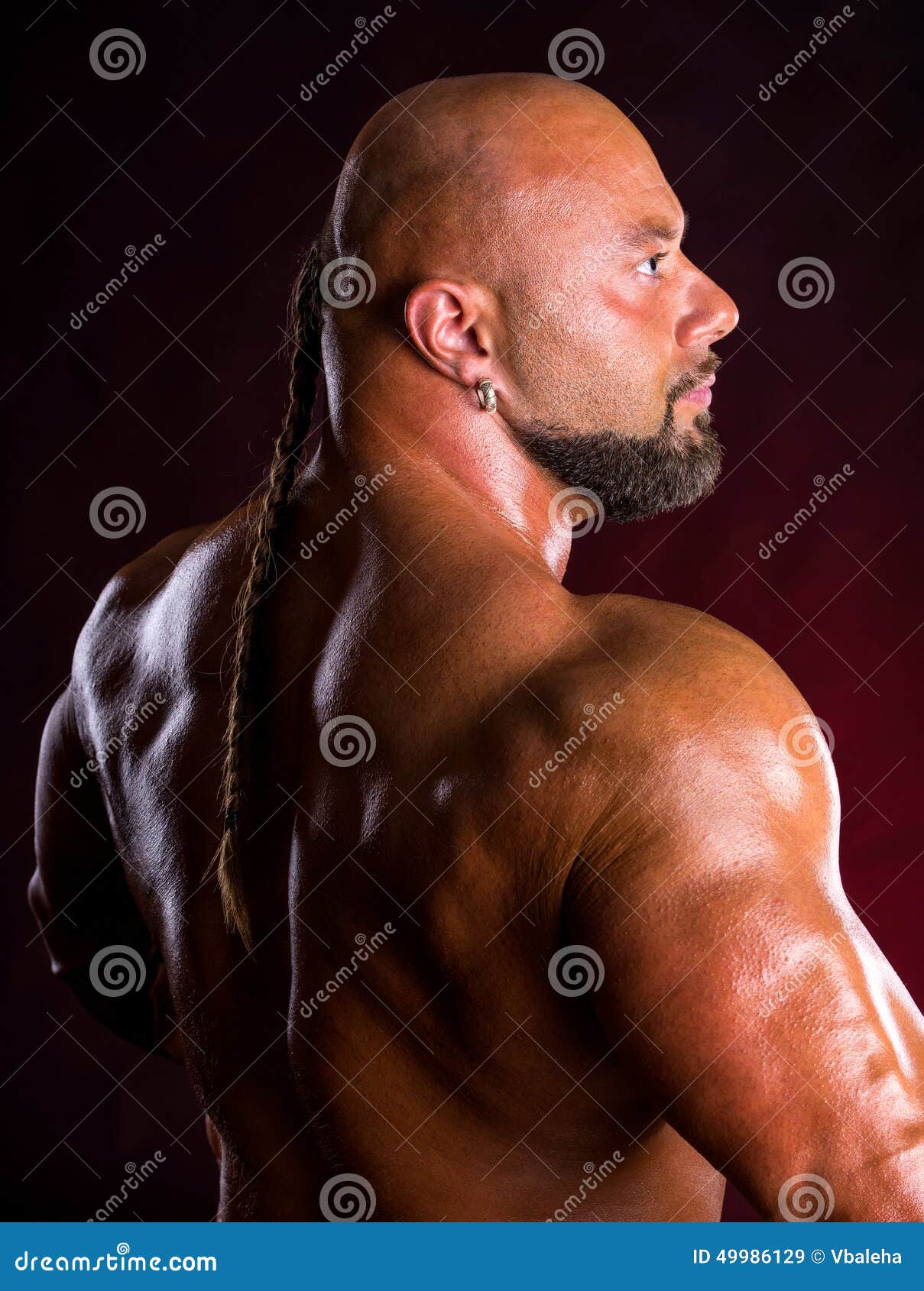 Bodybuilder Demonstrating Muscles of the Back and Arms Stock Image ...
