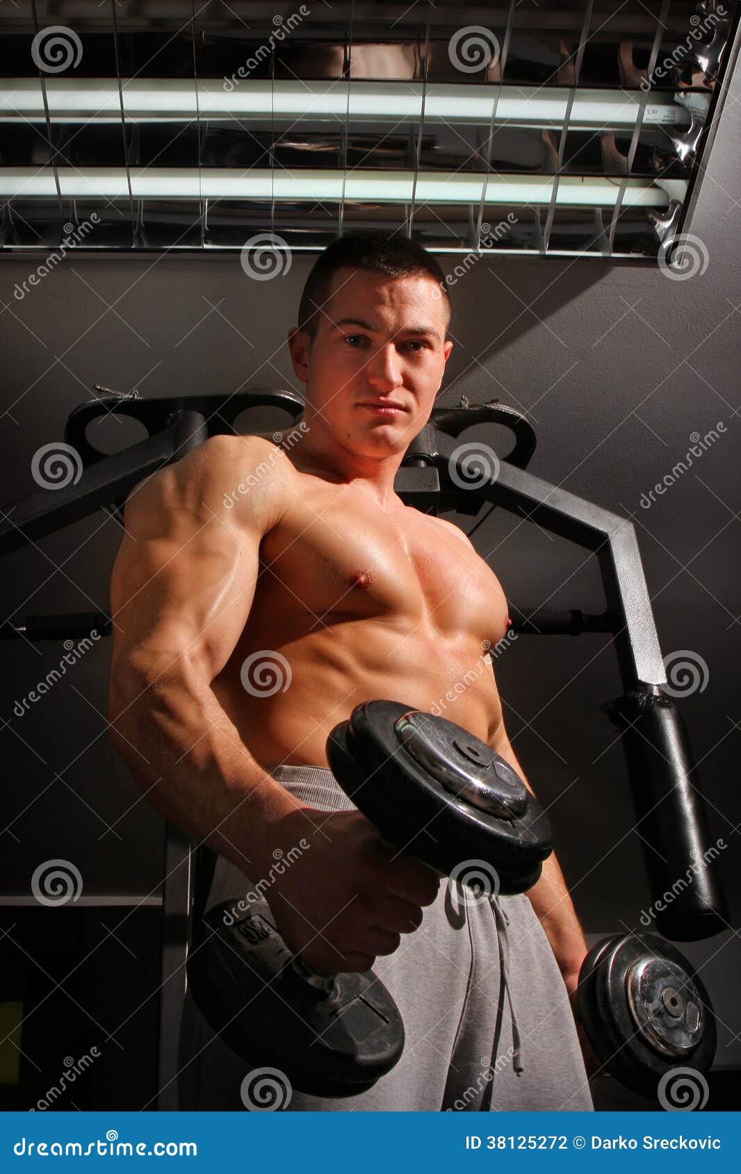 Bodybuilder, Der Stark Ausbildet Stockfoto - Bild von kerl, schulter ...