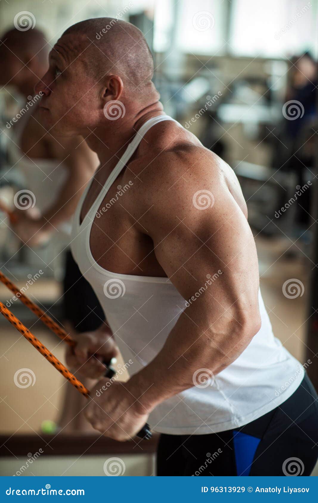 Bodybuilder Does an Exercise for Triceps Stock Image - Image of ...