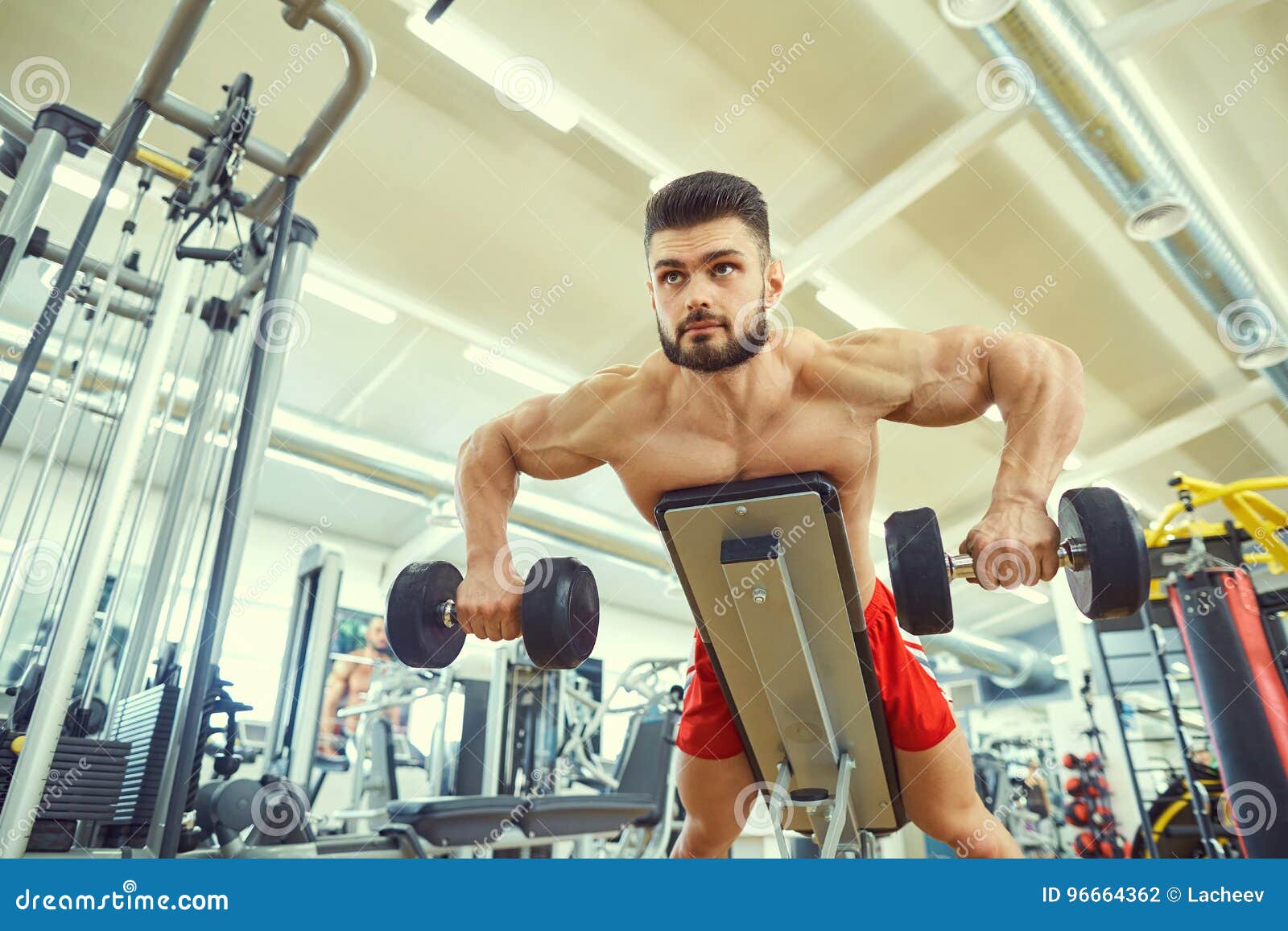 Bodybuilder Does Exercises with Dumbbells in the Gym Stock Photo ...