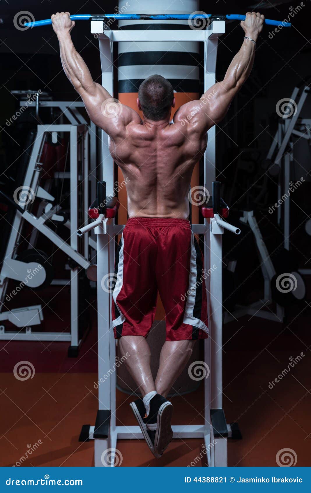 Bodybuilder Doing Exercise for Back Stock Image - Image of adult ...