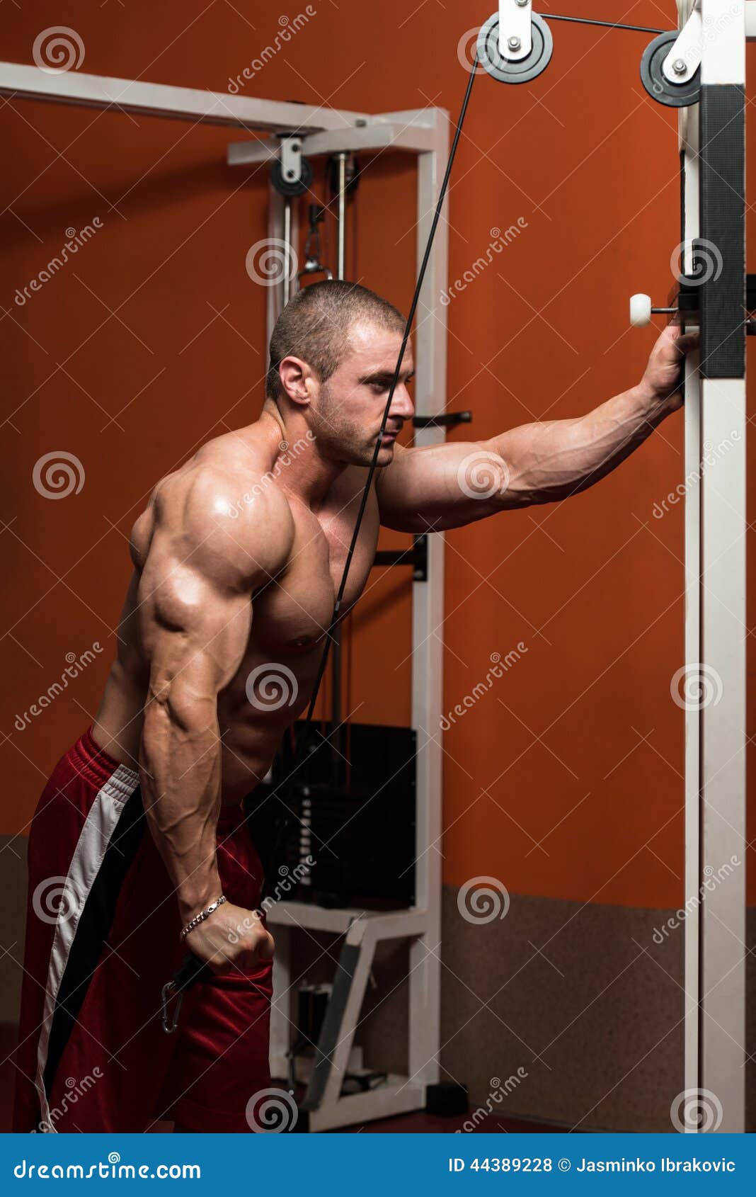 Bodybuilder Doing Exercise for Triceps Stock Photo - Image of dumbbell ...