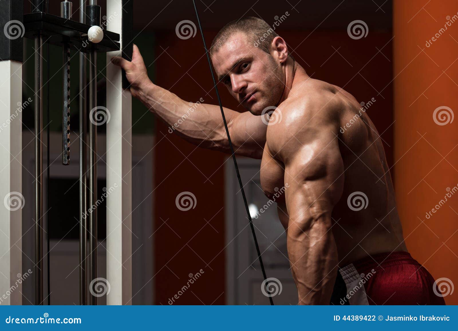 Bodybuilder Doing Exercise for Triceps Stock Photo - Image of biceps ...
