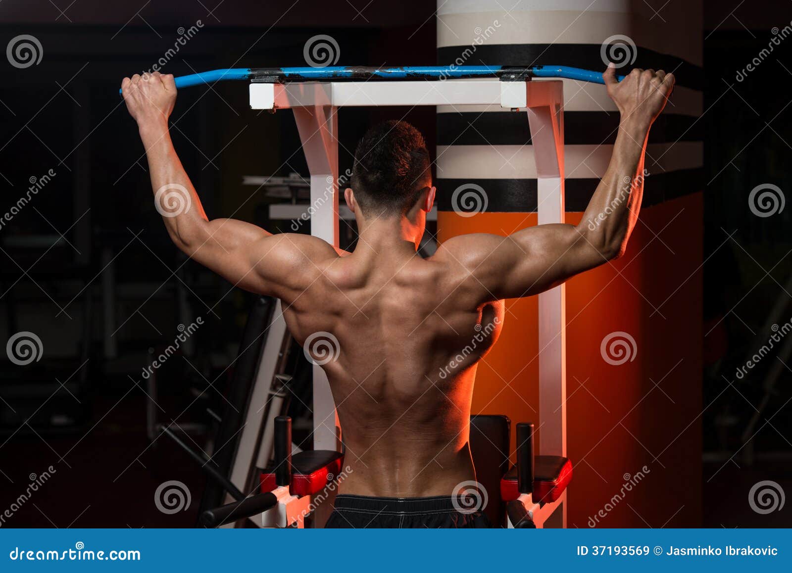 Bodybuilder Doing Heavy Weight Exercise for Back Stock Image - Image of ...