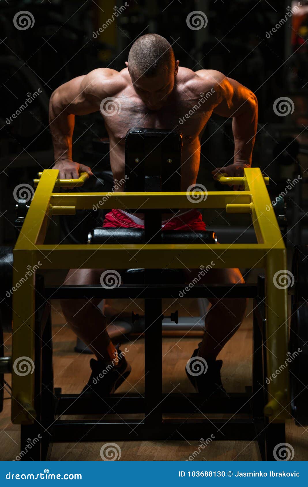 Man Doing Heavy Weight Exercise for Trapezius Stock Photo - Image of ...