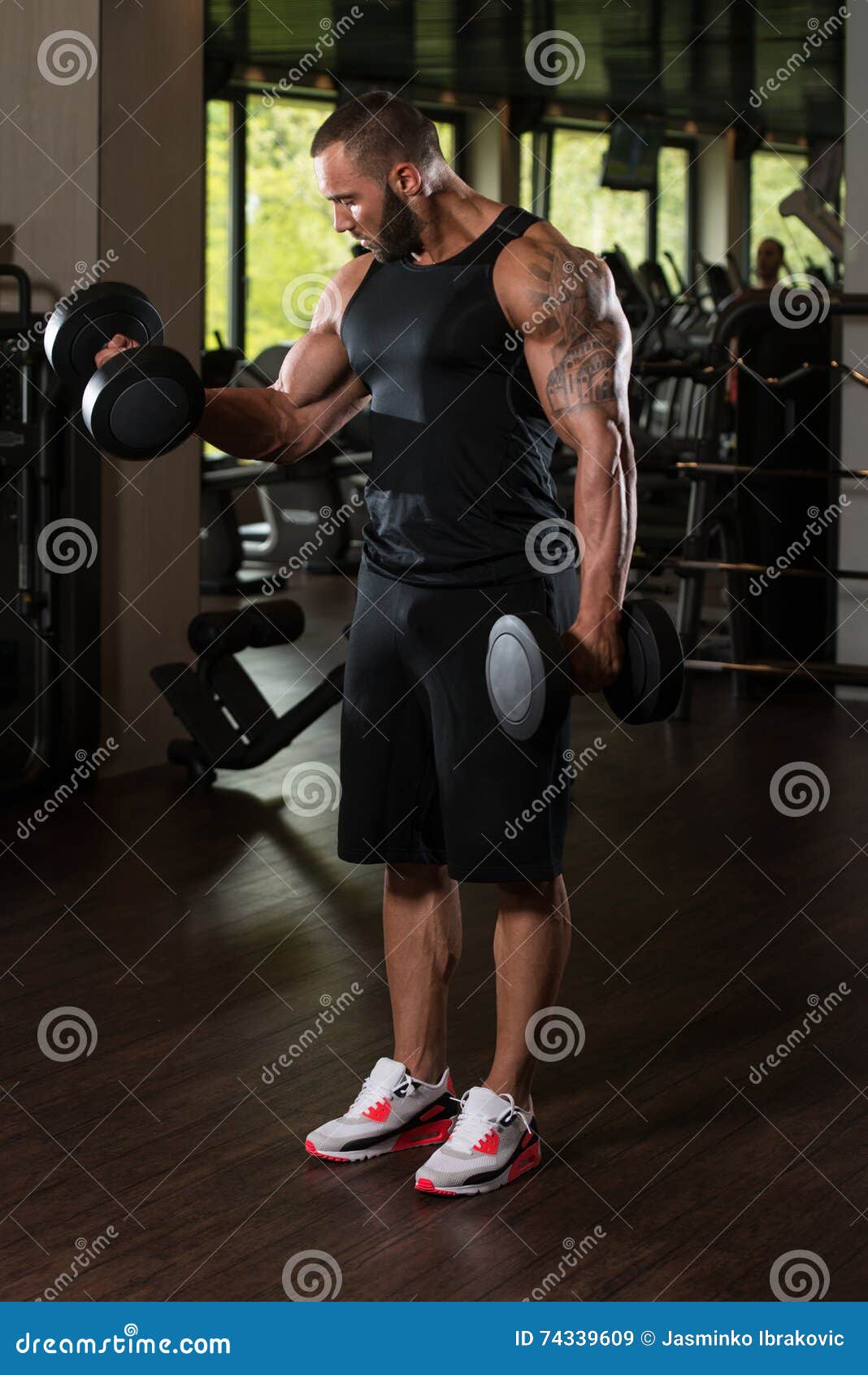 Bodybuilder Exercise Biceps with Dumbbells Stock Image - Image of male ...