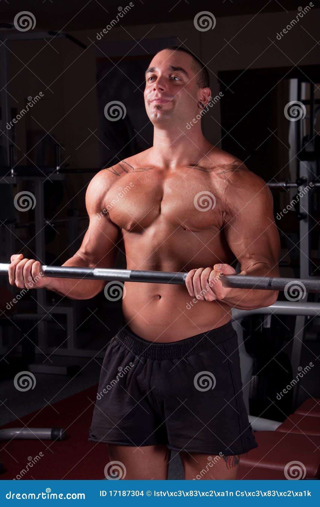 Bodybuilder exercising stock photo. Image of male, ripped - 17187304