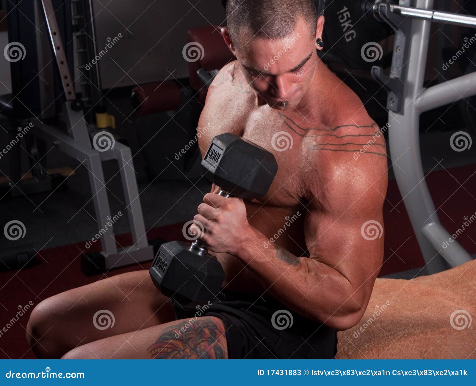 Bodybuilder exercising stock image. Image of adult, bodybuilding - 17431883