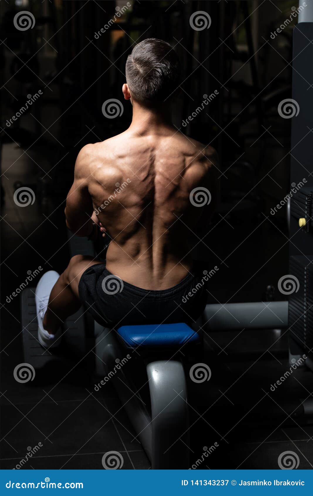 Bodybuilder Exercising Back in Gym Stock Image - Image of back ...