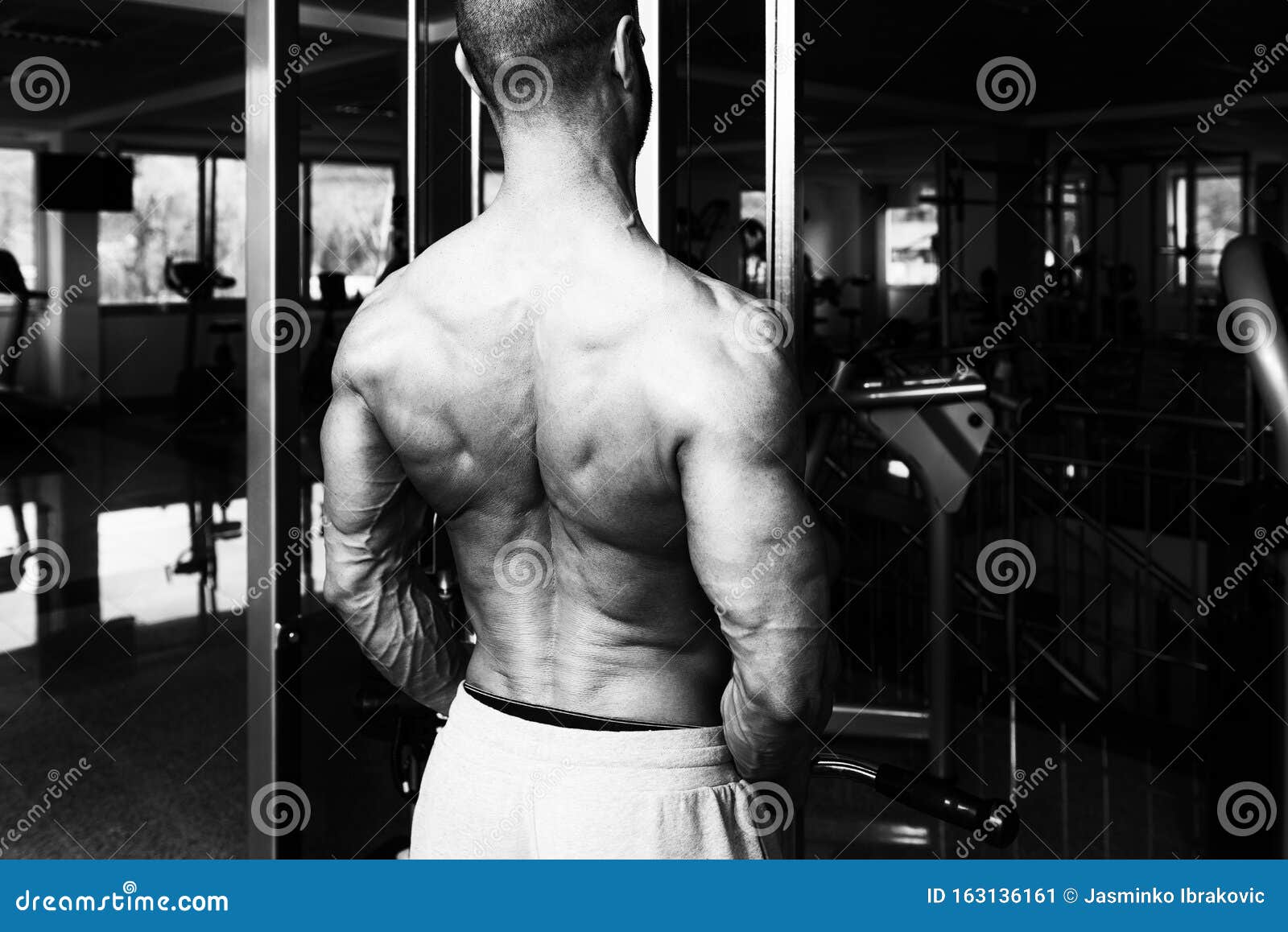 Bodybuilder Exercising Back in Gym Stock Image - Image of indoors ...