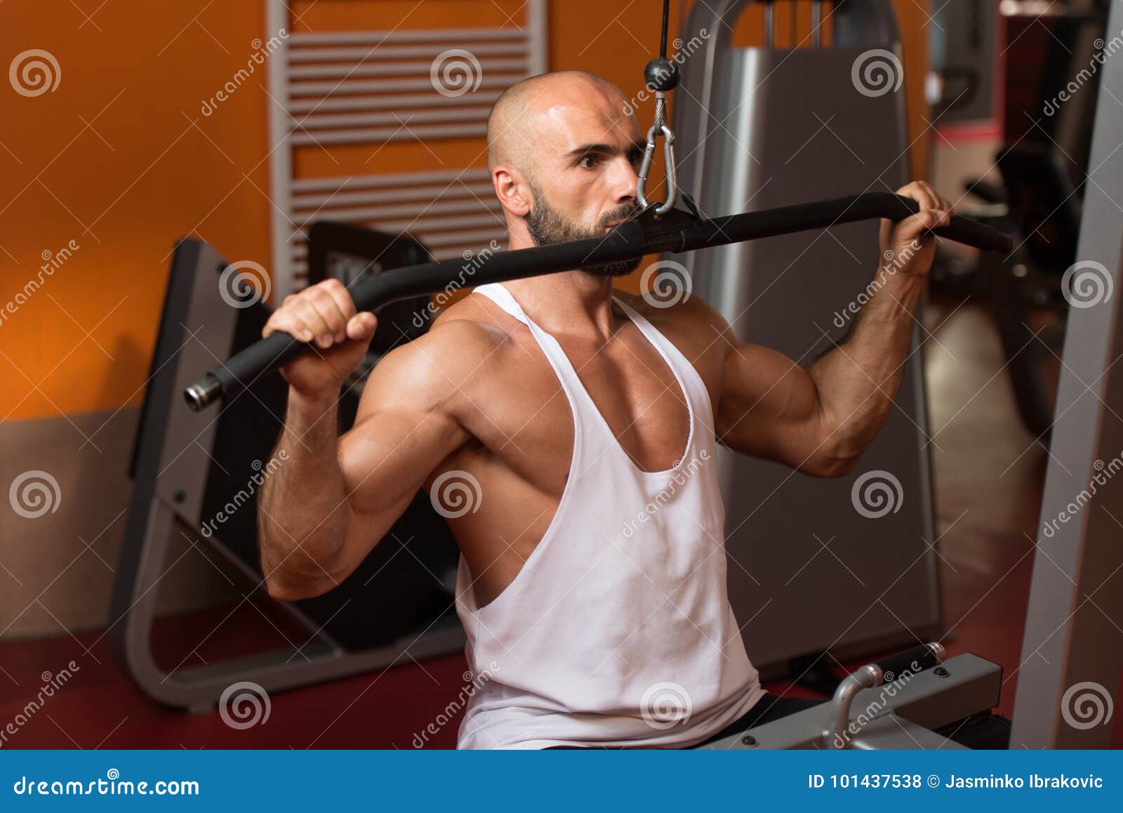 Bodybuilder Exercising Back in Gym Stock Photo - Image of muscular ...
