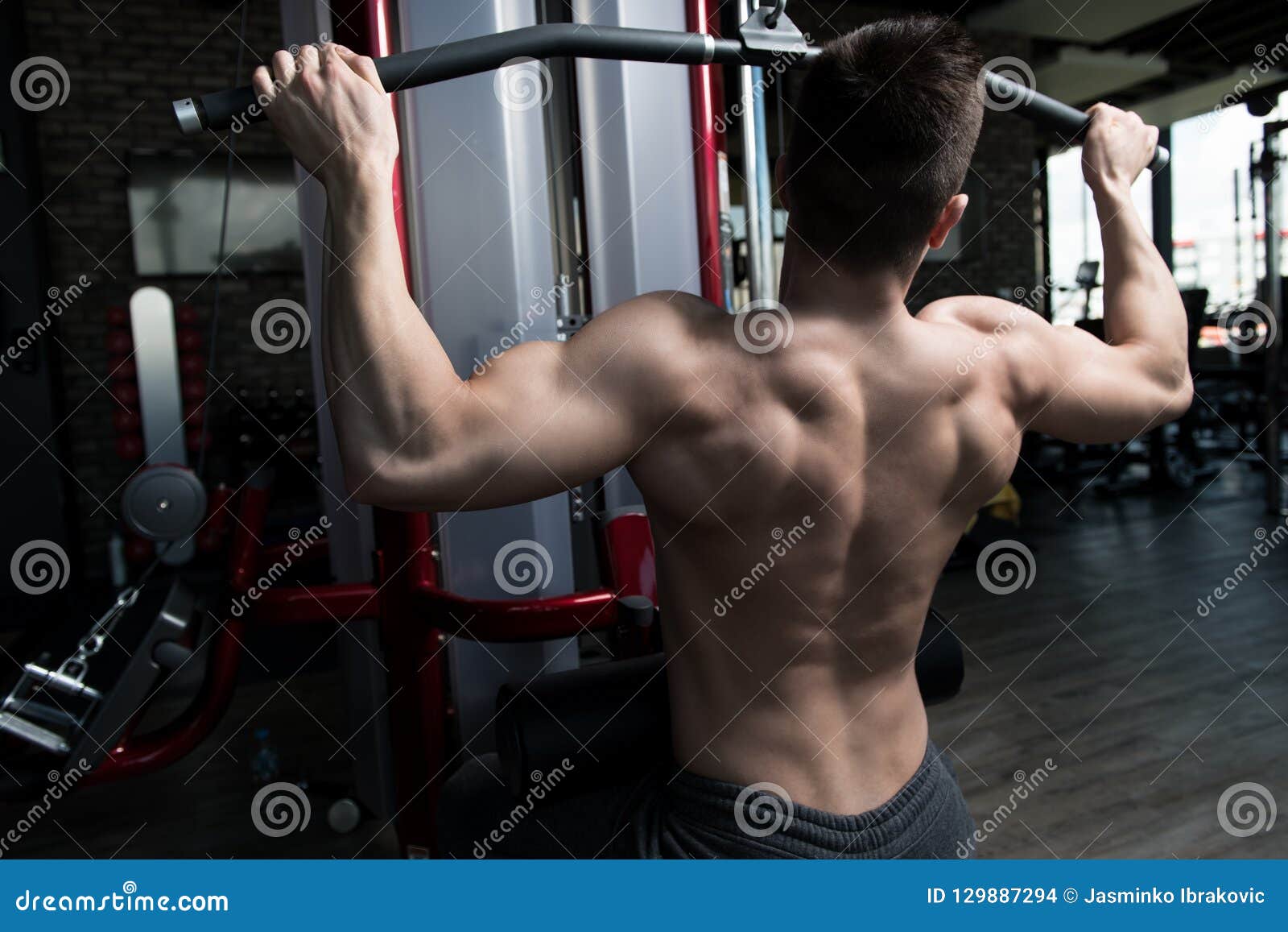 Bodybuilder Exercising Back in Gym Stock Photo - Image of muscle, body ...