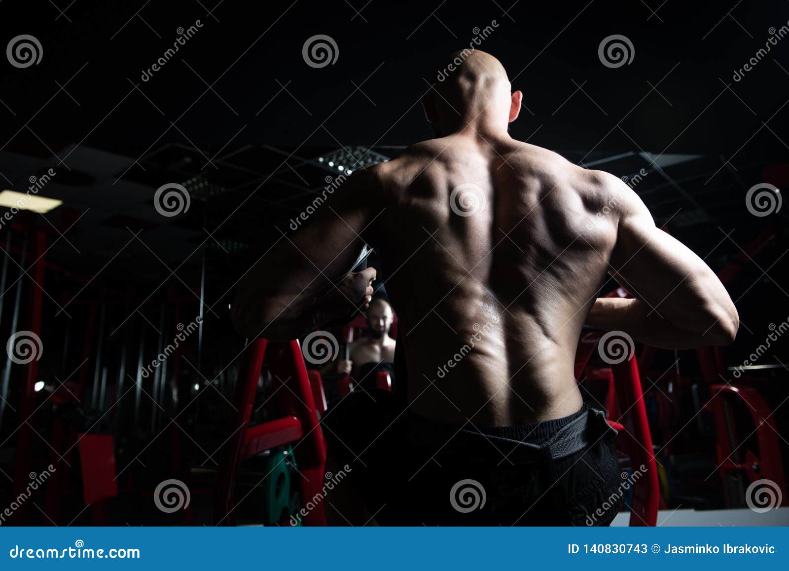 Bodybuilder Exercising Back in Gym Stock Image - Image of abdominal ...