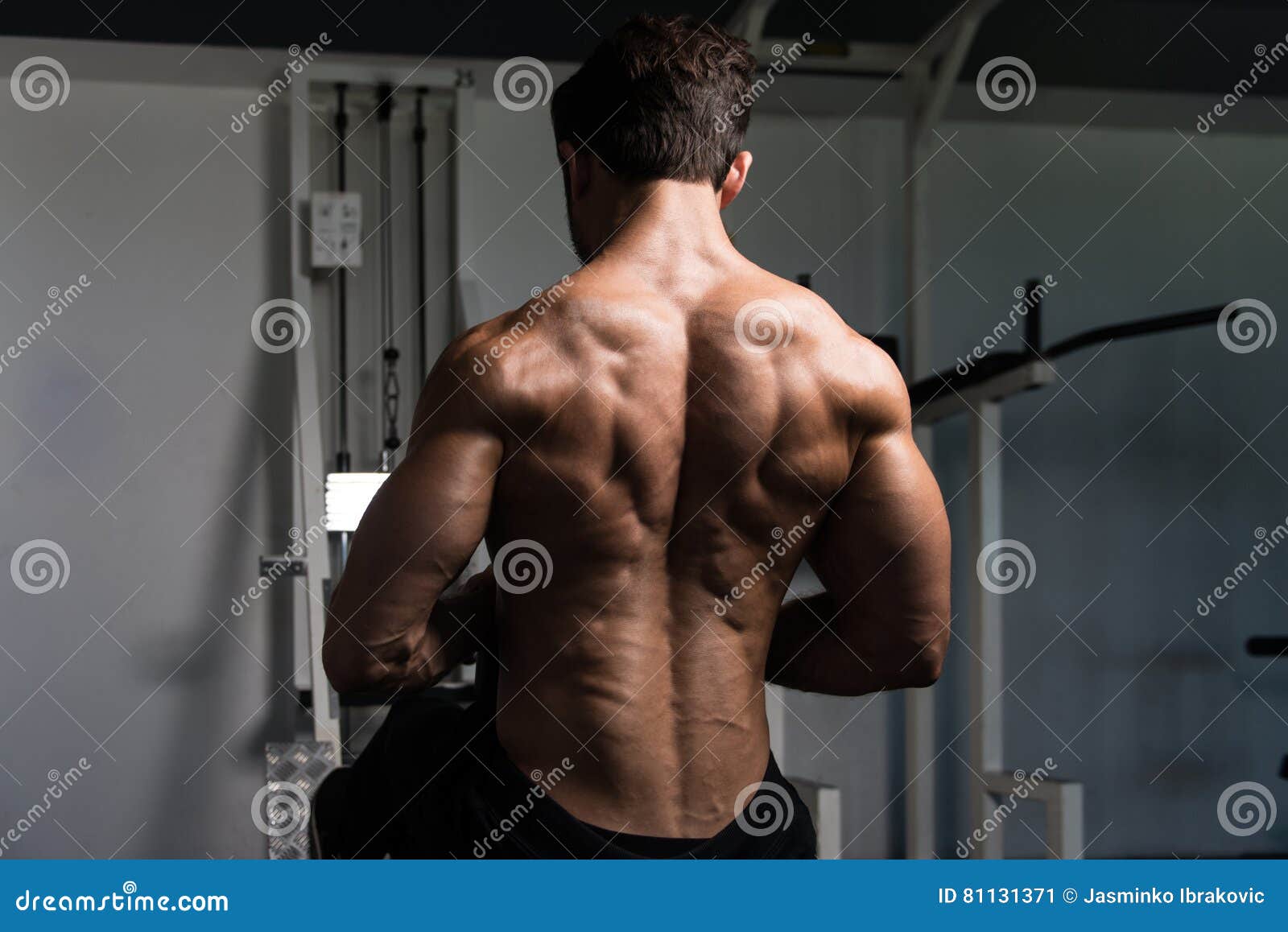Bodybuilder Exercising Back in Gym Stock Image - Image of lifestyles ...