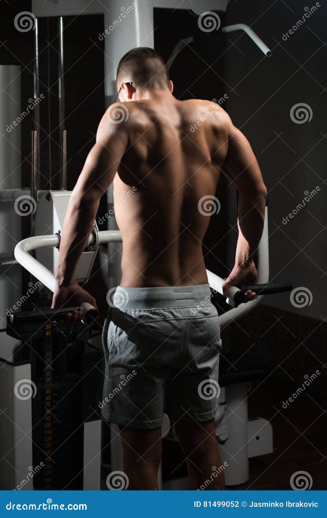Bodybuilder Exercising Back in Gym Stock Photo - Image of exercise ...