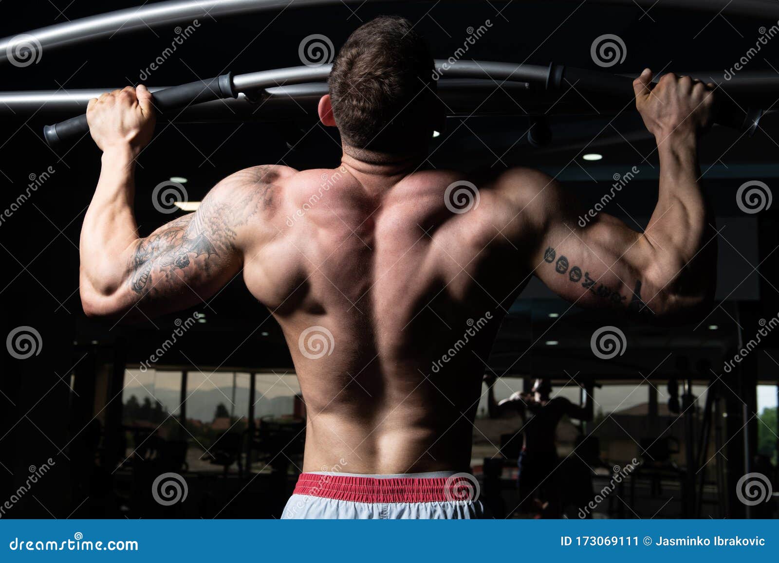 Bodybuilder Exercising Back in Gym Stock Image - Image of abdominal ...