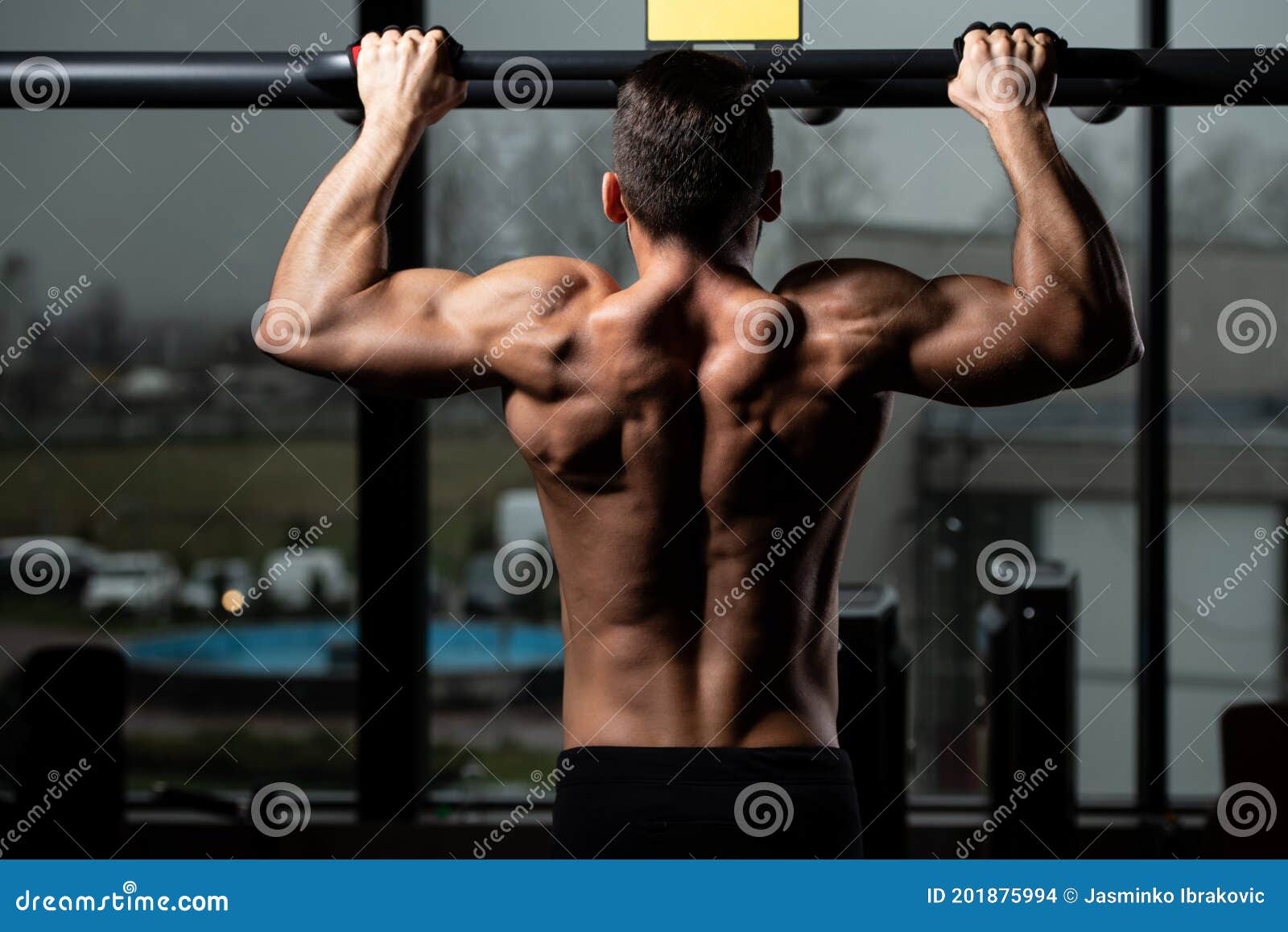 Bodybuilder Exercising Back in Gym Stock Photo - Image of lift, male ...