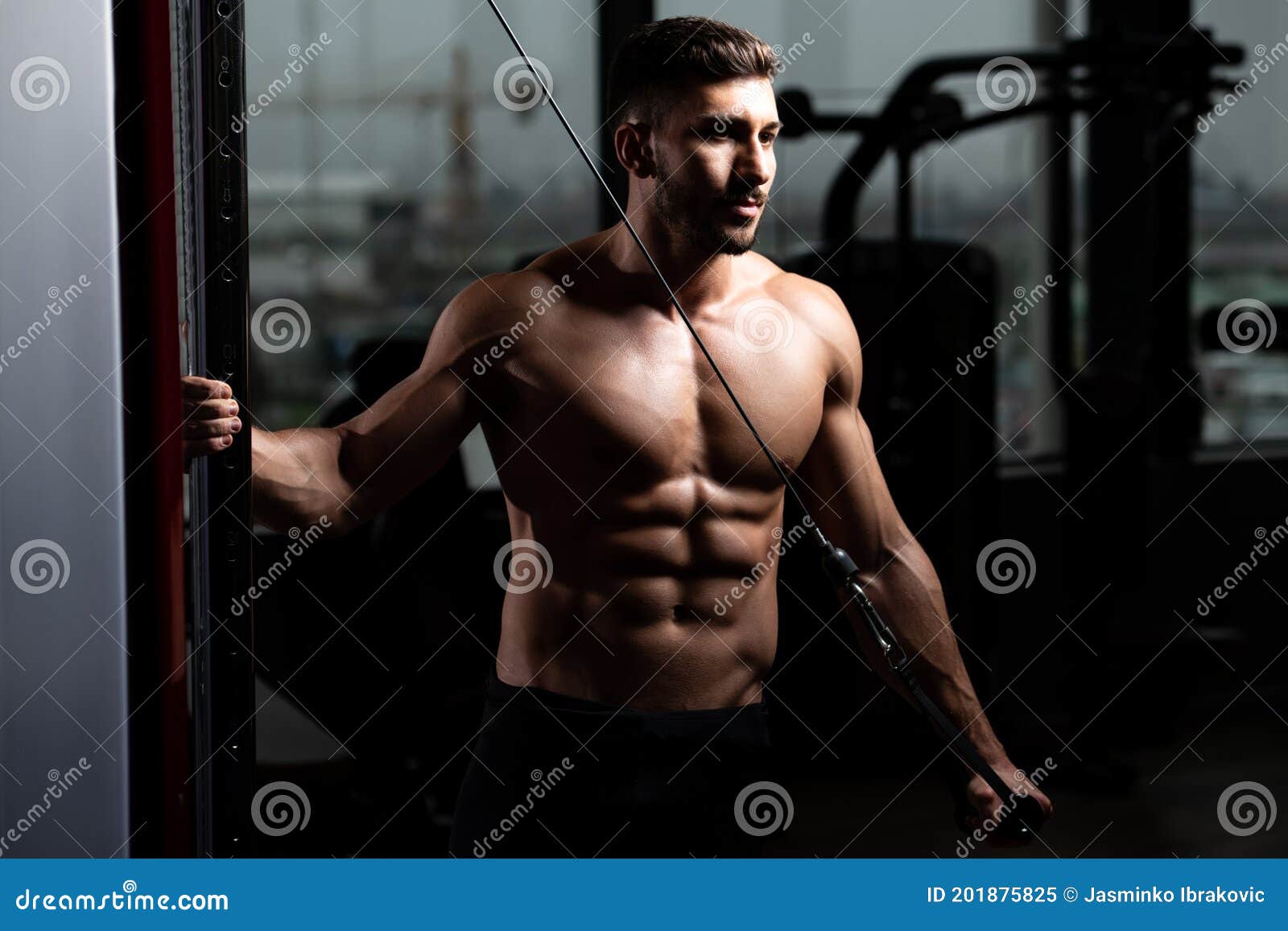 Bodybuilder Exercising Triceps Stock Image - Image of fitness, metal ...