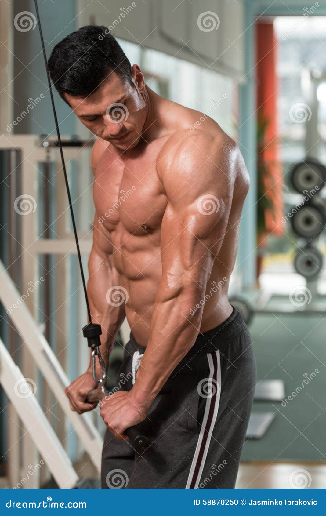 Bodybuilder Exercising Triceps Stock Photo - Image of people, fitness ...