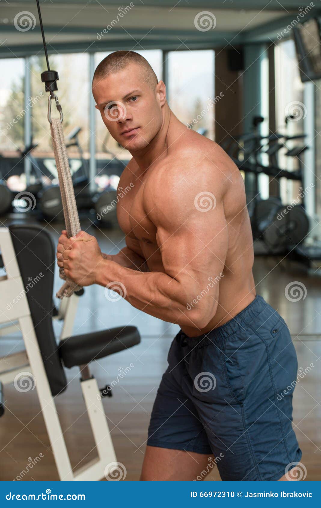 Bodybuilder Exercising Triceps Stock Photo - Image of person, human ...