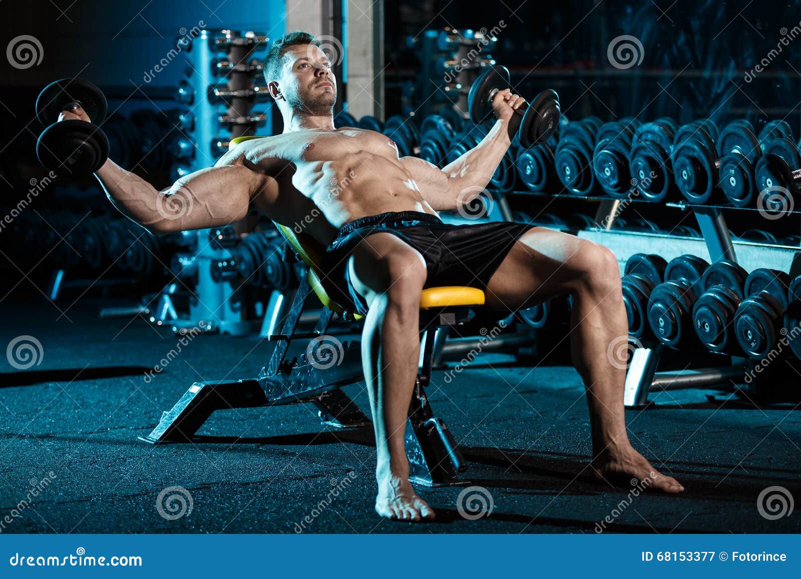 Bodybuilder Exercising with Weights Stock Image - Image of trainer ...
