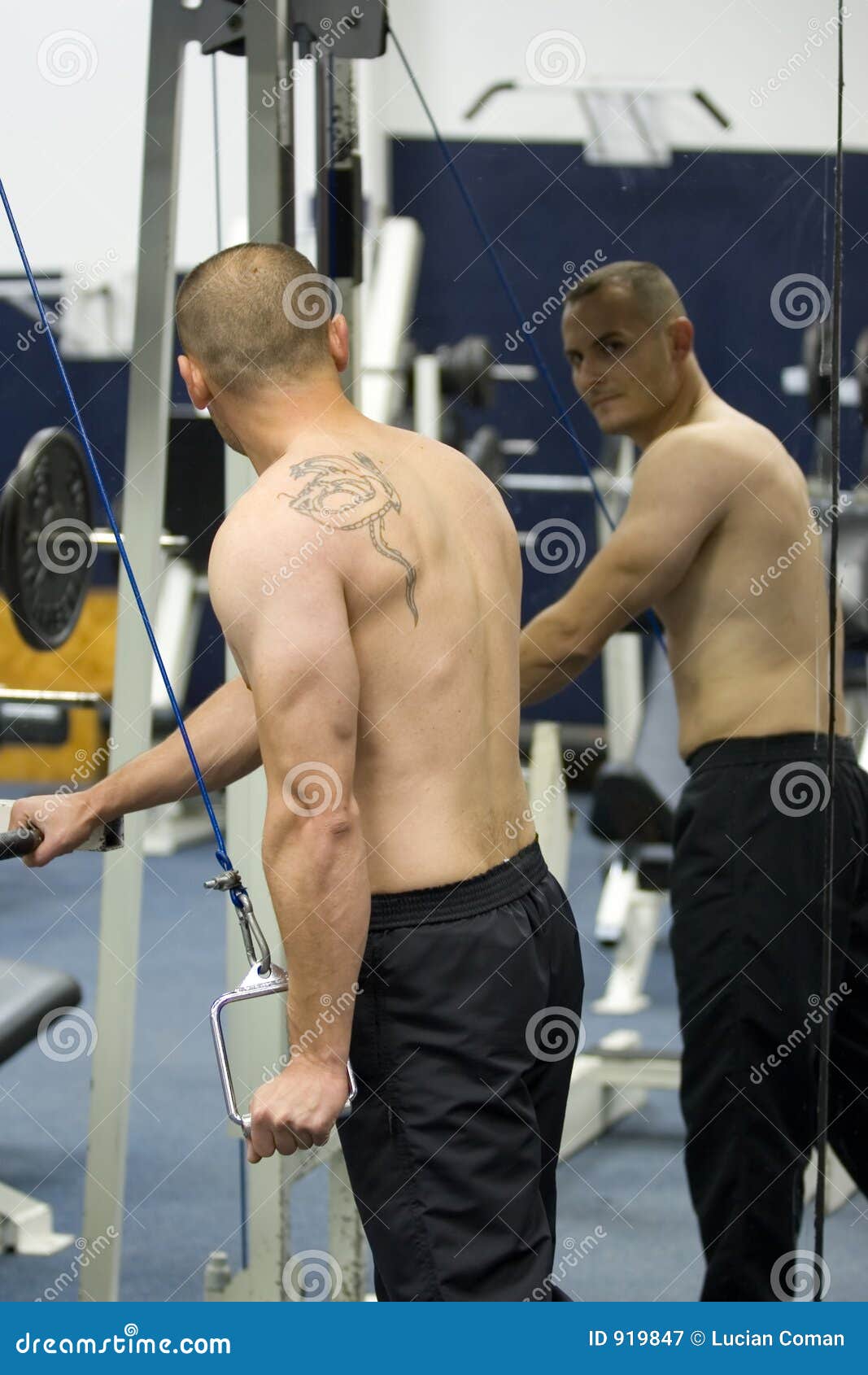 Bodybuilder in gym stock image. Image of exercise, reflecting - 919847