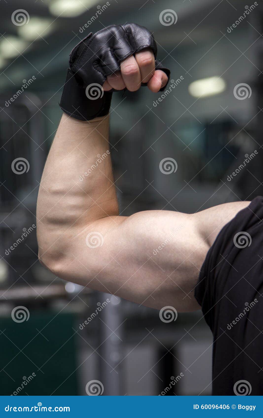 Bodybuilder in the gym stock photo. Image of muscular - 60096406