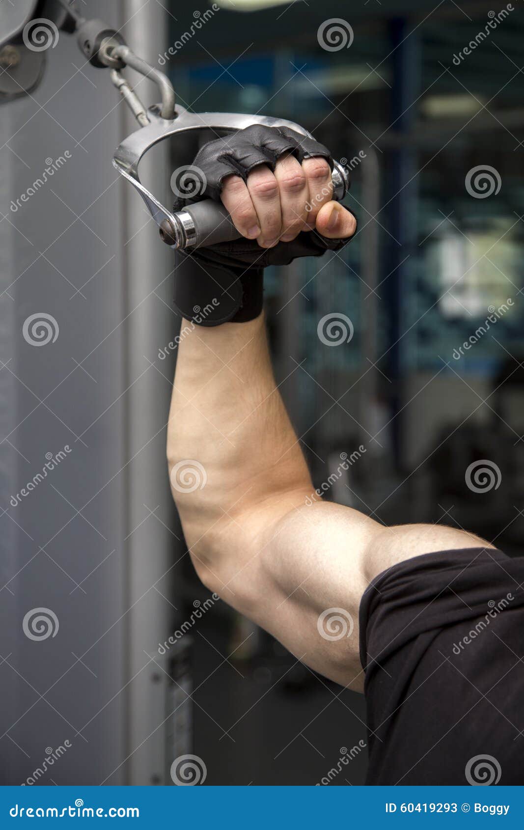 Bodybuilder in the gym stock image. Image of bodybuilding - 60419293