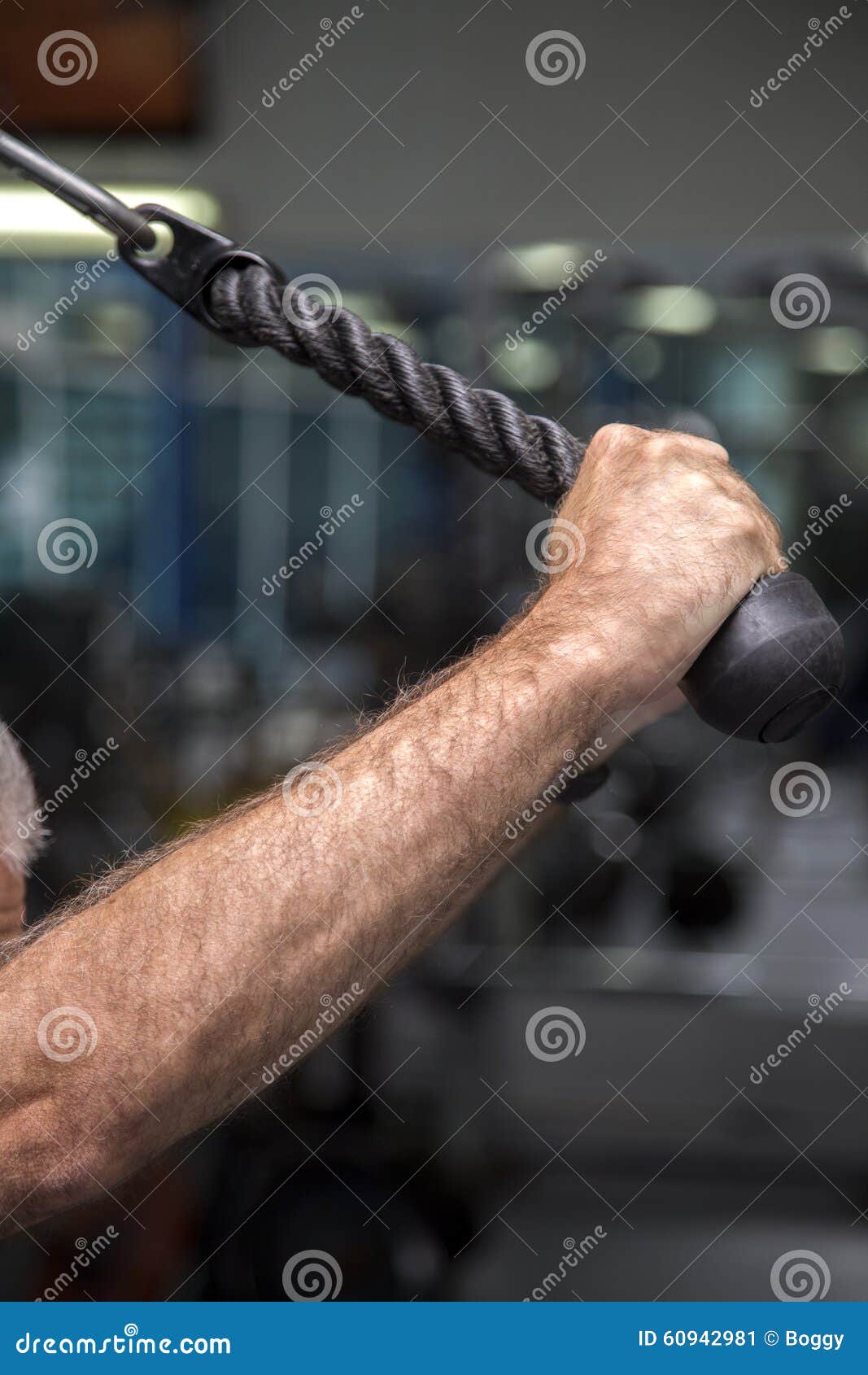 Bodybuilder in the gym stock image. Image of muscular - 60942981