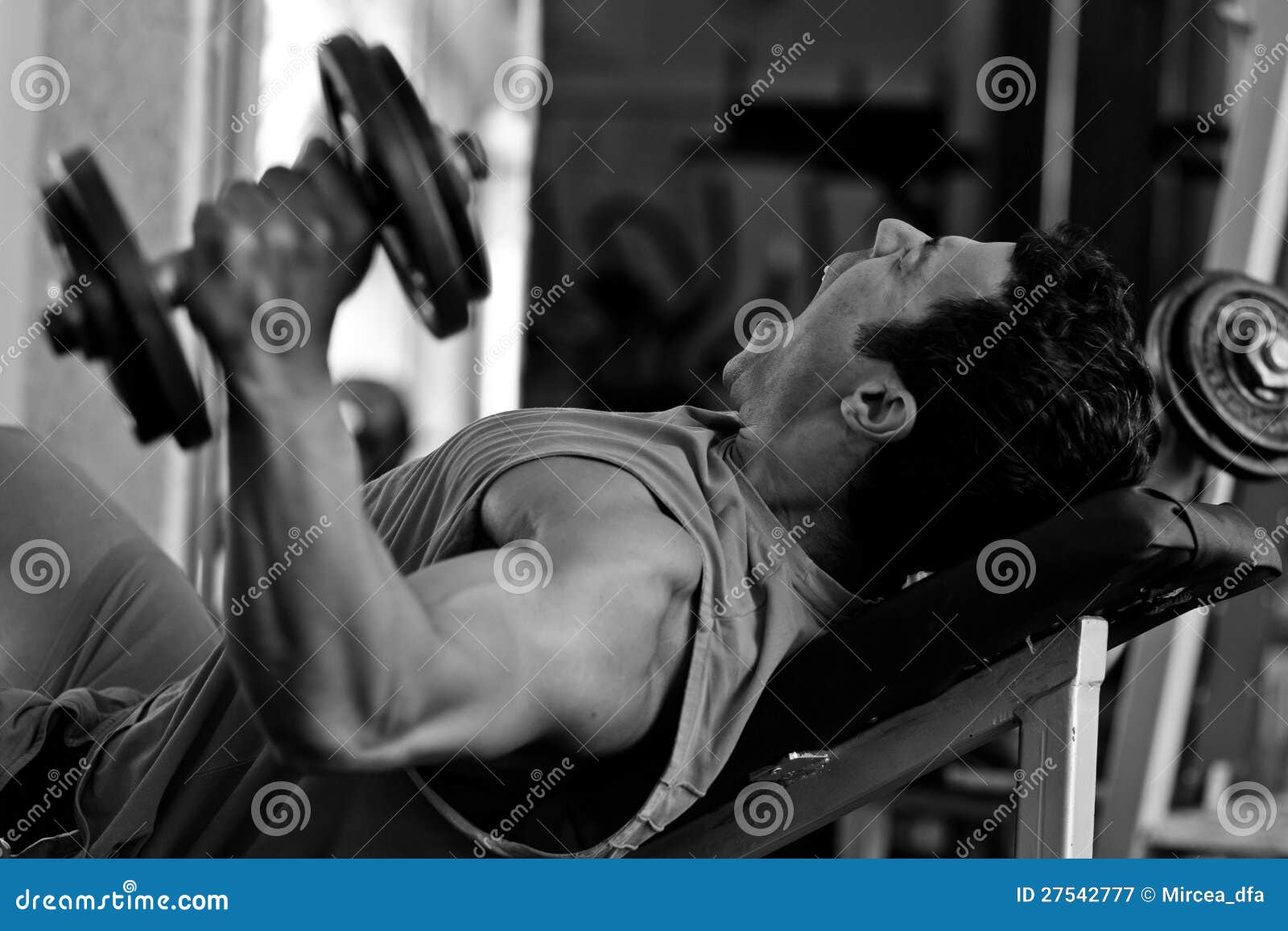 Bodybuilder Hard Training in the Gym Stock Image - Image of active ...