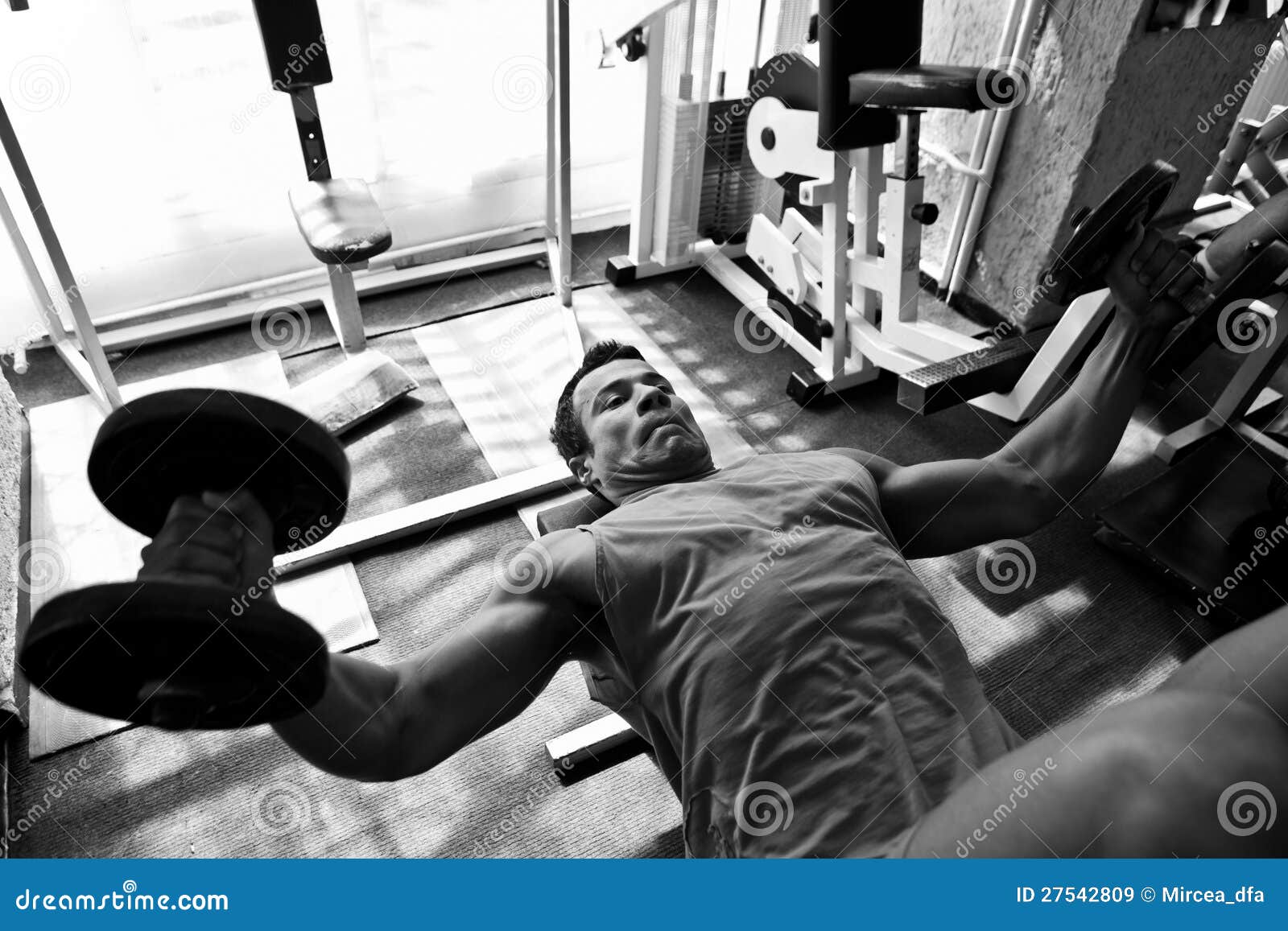 Bodybuilder Hard Training in the Gym Stock Image - Image of black ...
