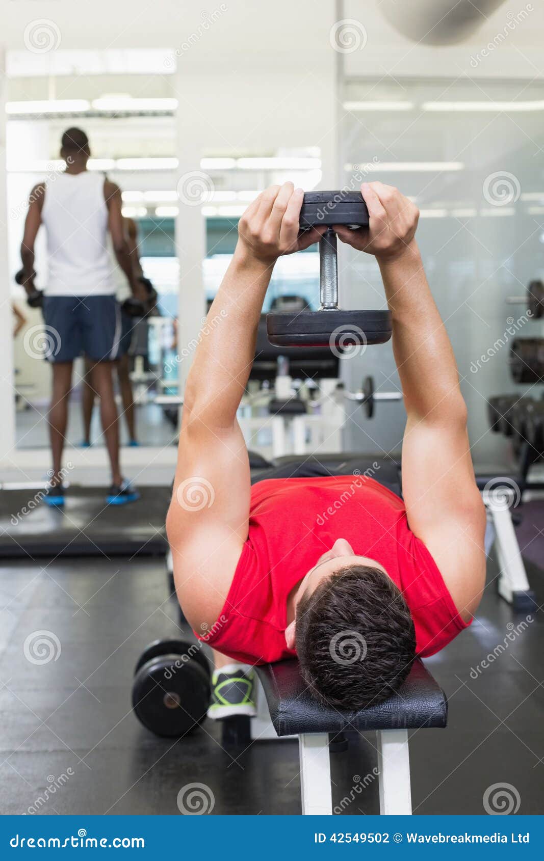 Bodybuilder Lying on Bench Lifting Heavy Dumbbell Stock Photo - Image ...