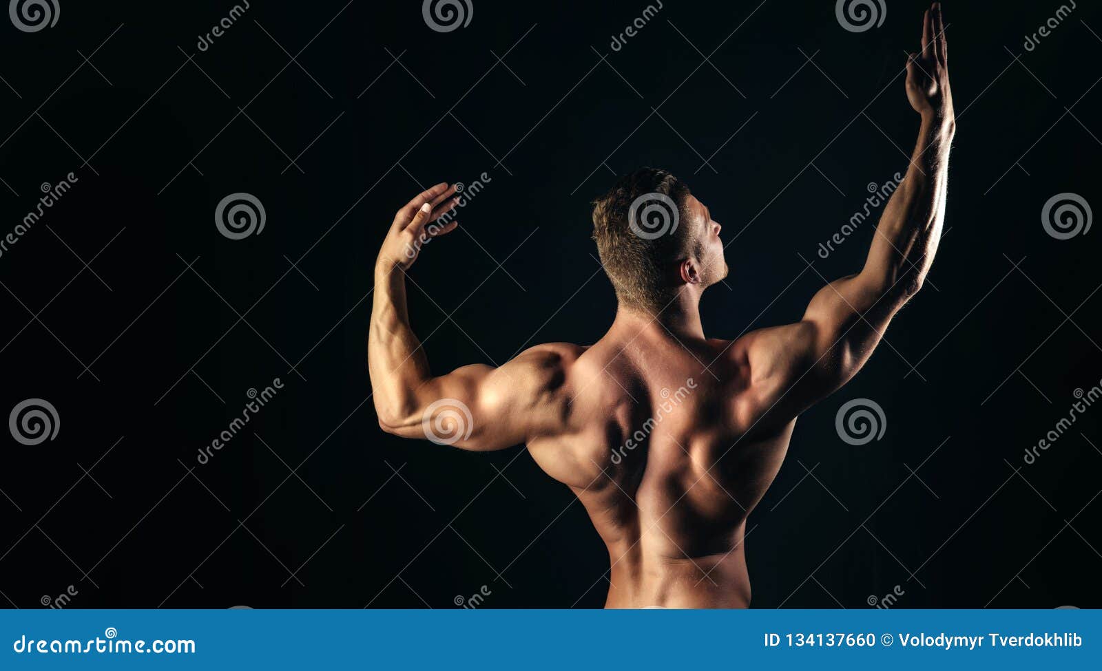 Bodybuilder Man with Muscular Torso Back and Hands Stock Photo - Image ...