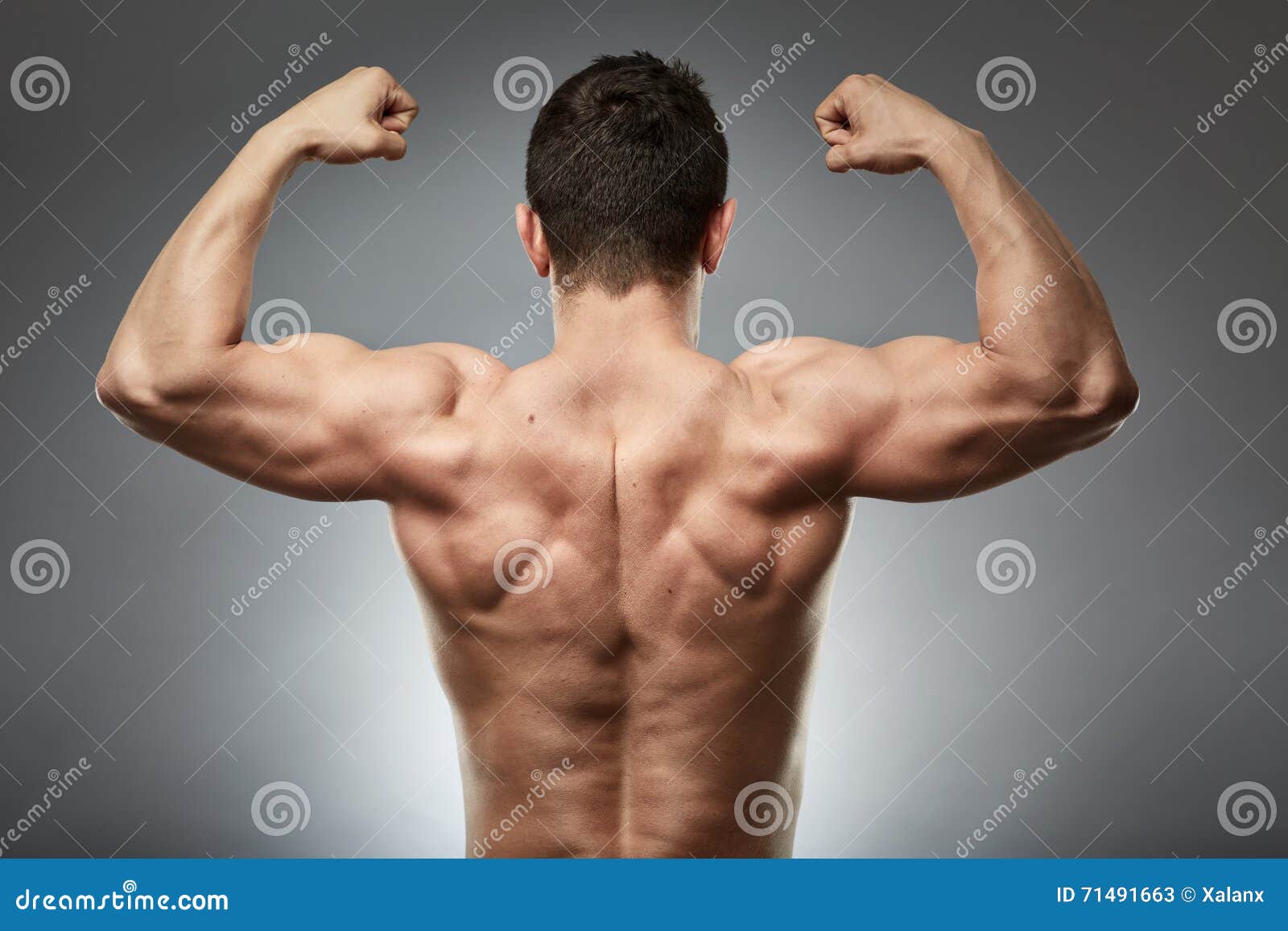 Bodybuilder Model Back on Gray Stock Image - Image of biceps, lifestyle ...