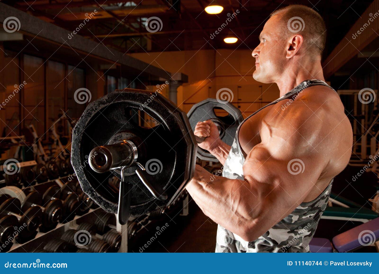 Bodybuilder No Quarto Do Treinamento Foto de Stock - Imagem de ...