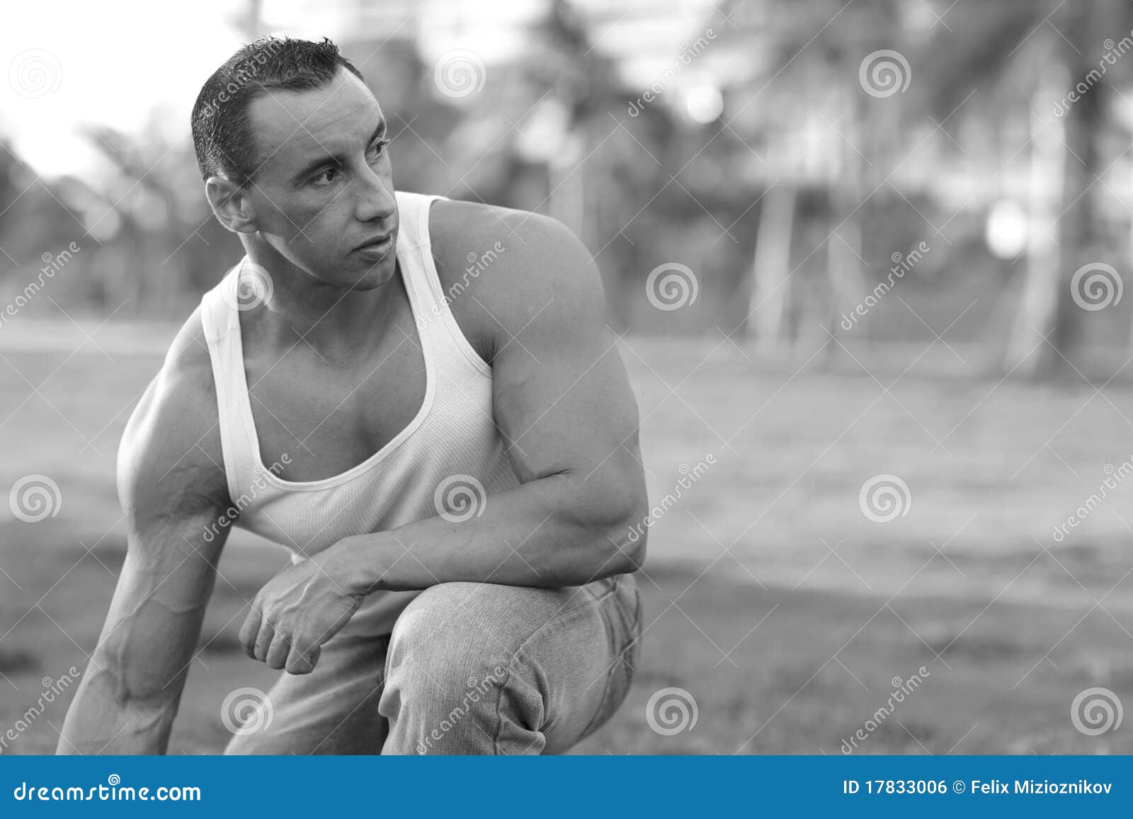 Bodybuilder in the park stock photo. Image of caucasian - 17833006