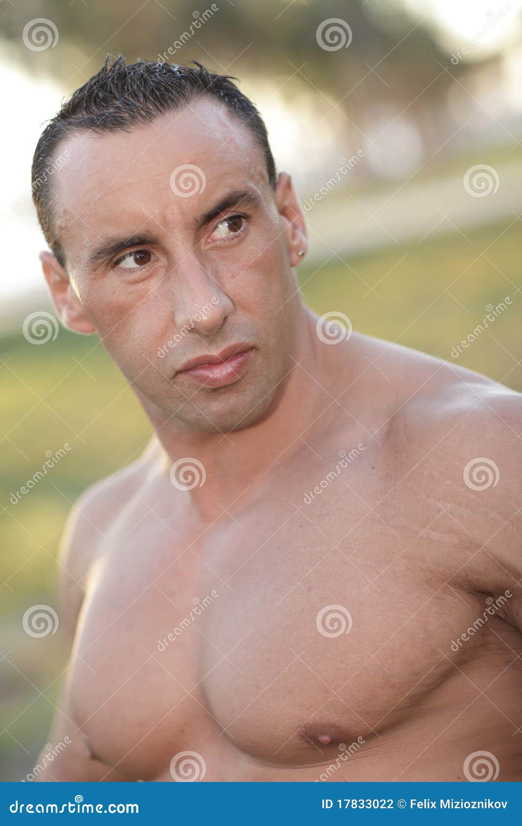 Bodybuilder in the park stock photo. Image of macho, muscles - 17833022