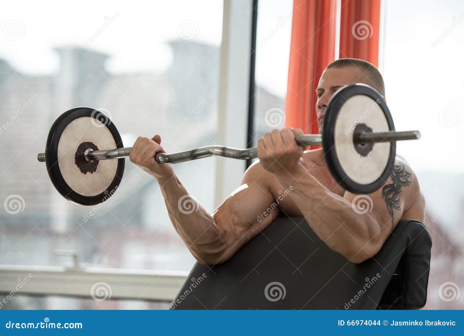 Bodybuilder Performing Biceps Curls with a Barbell Stock Photo - Image ...