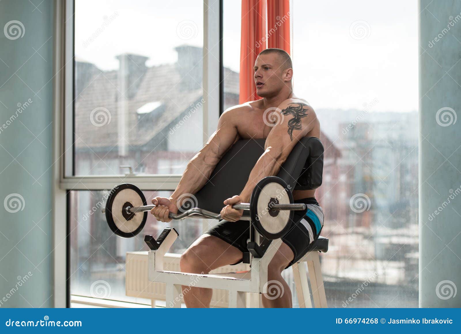 Bodybuilder Performing Biceps Curls with a Barbell Stock Photo - Image ...