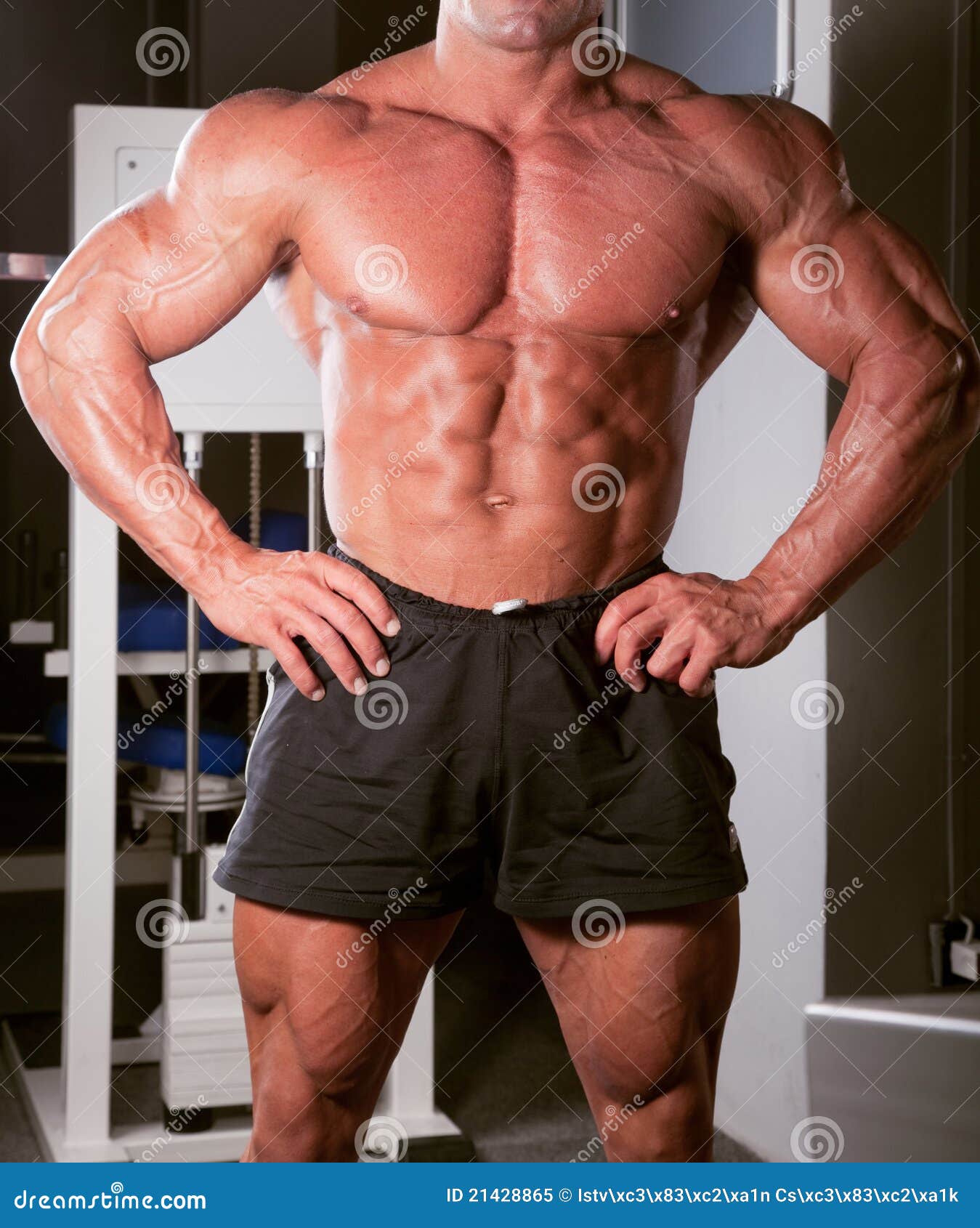 Bodybuilder posing stock image. Image of builder, beauty - 21428865