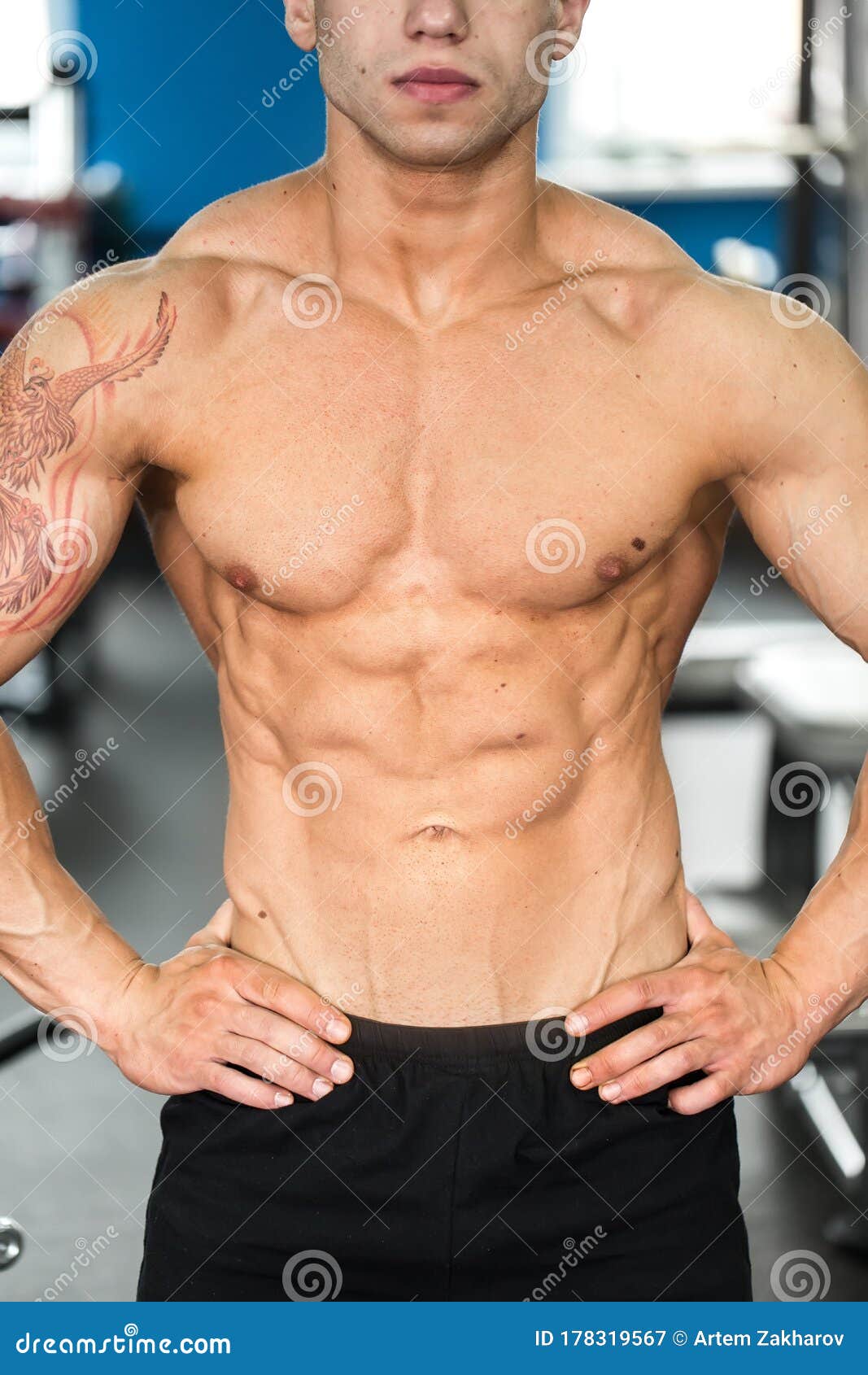 Bodybuilder Posing in the Gym. Beautiful Male Figure. Stock Image ...