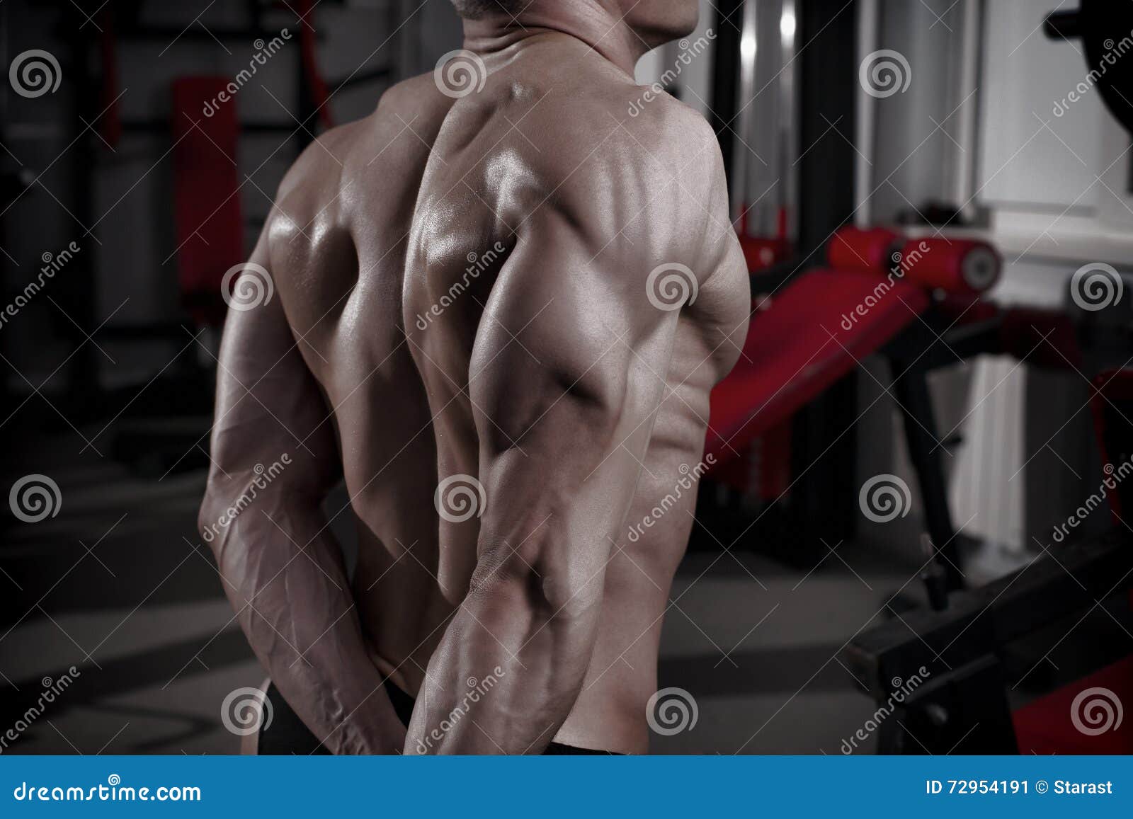 Bodybuilder Posing in Gym. Perfect Muscular Male Back Stock Image ...