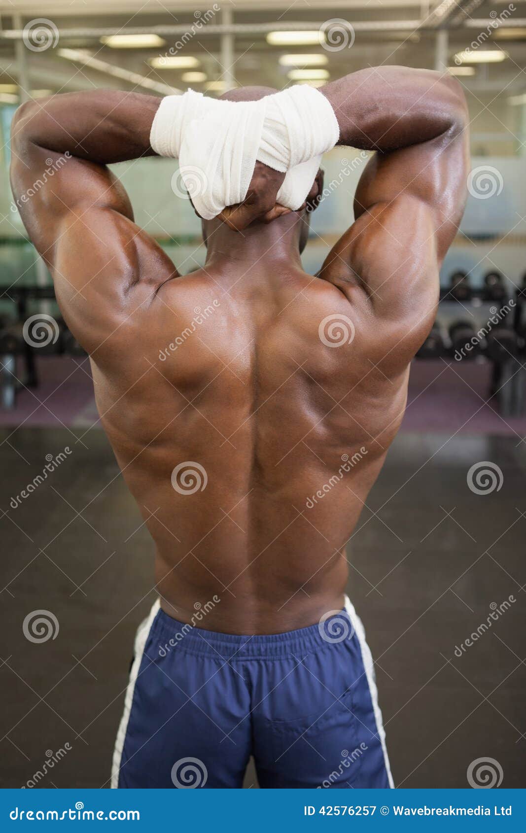 Bodybuilder posing in gym stock image. Image of shape - 42576257