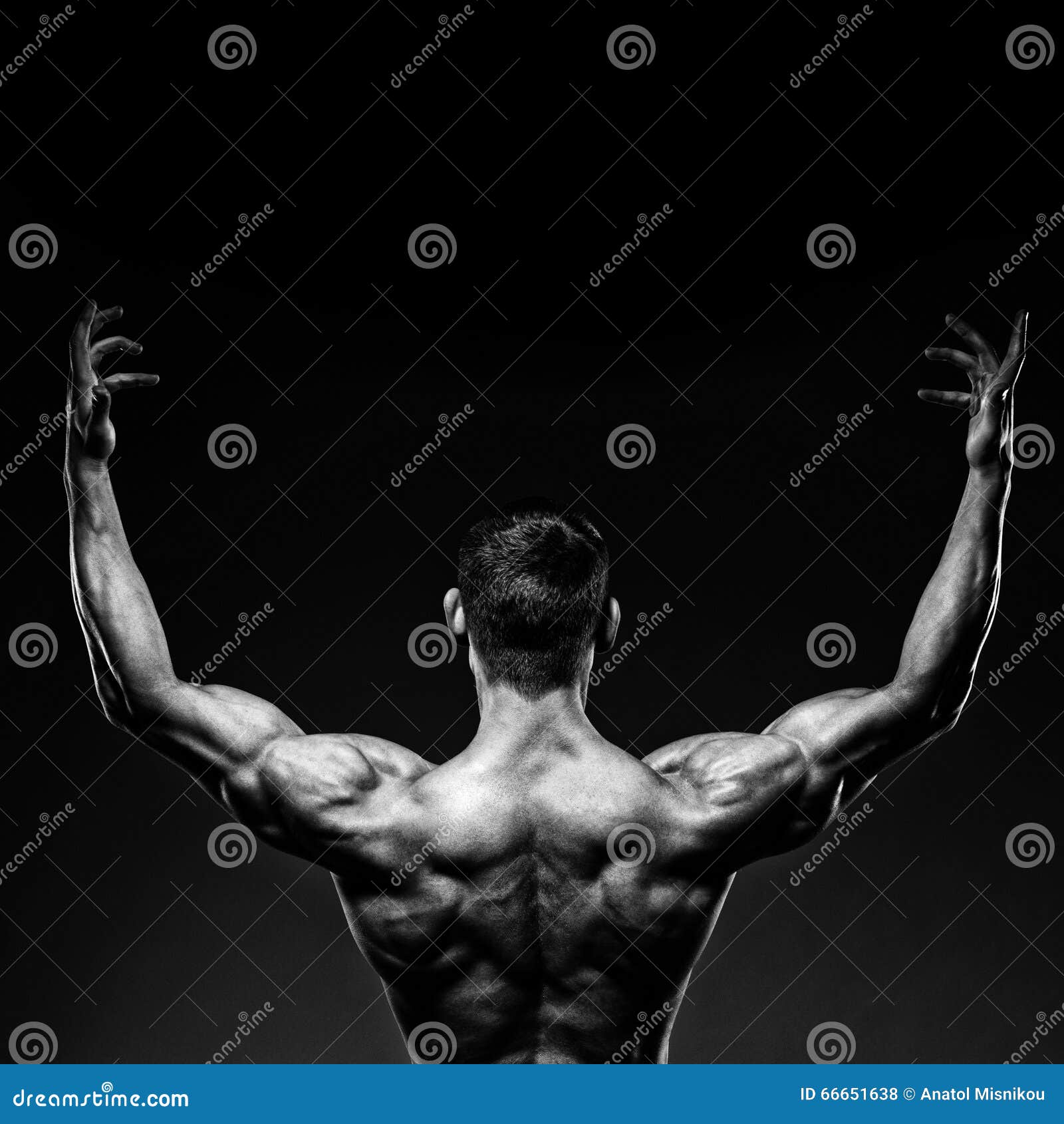 Male Muscle Inspiration