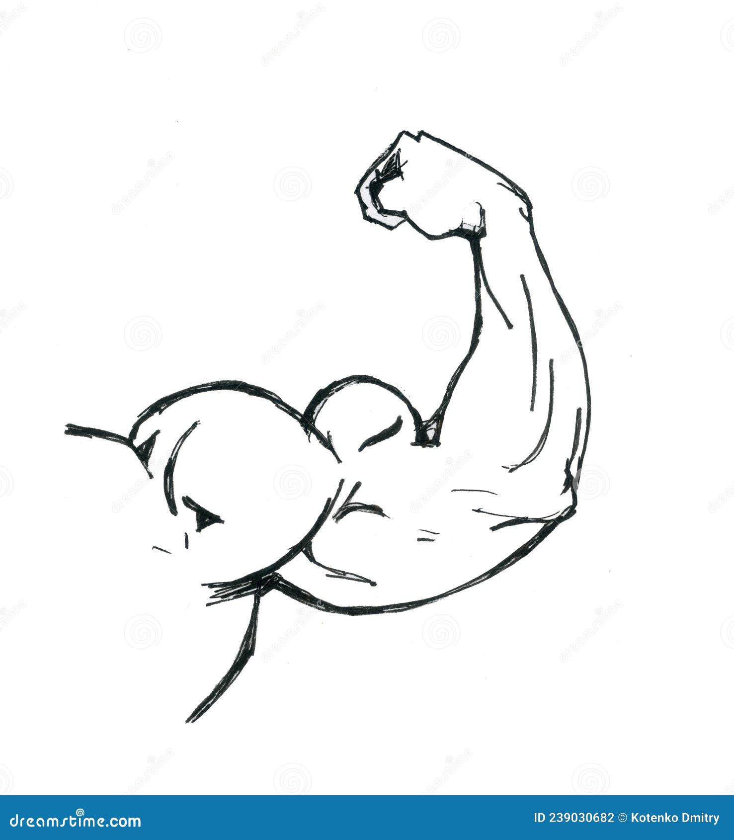 Bodybuilder`s Arm, Tensed Biceps, Ink Drawing. Stock Illustration ...