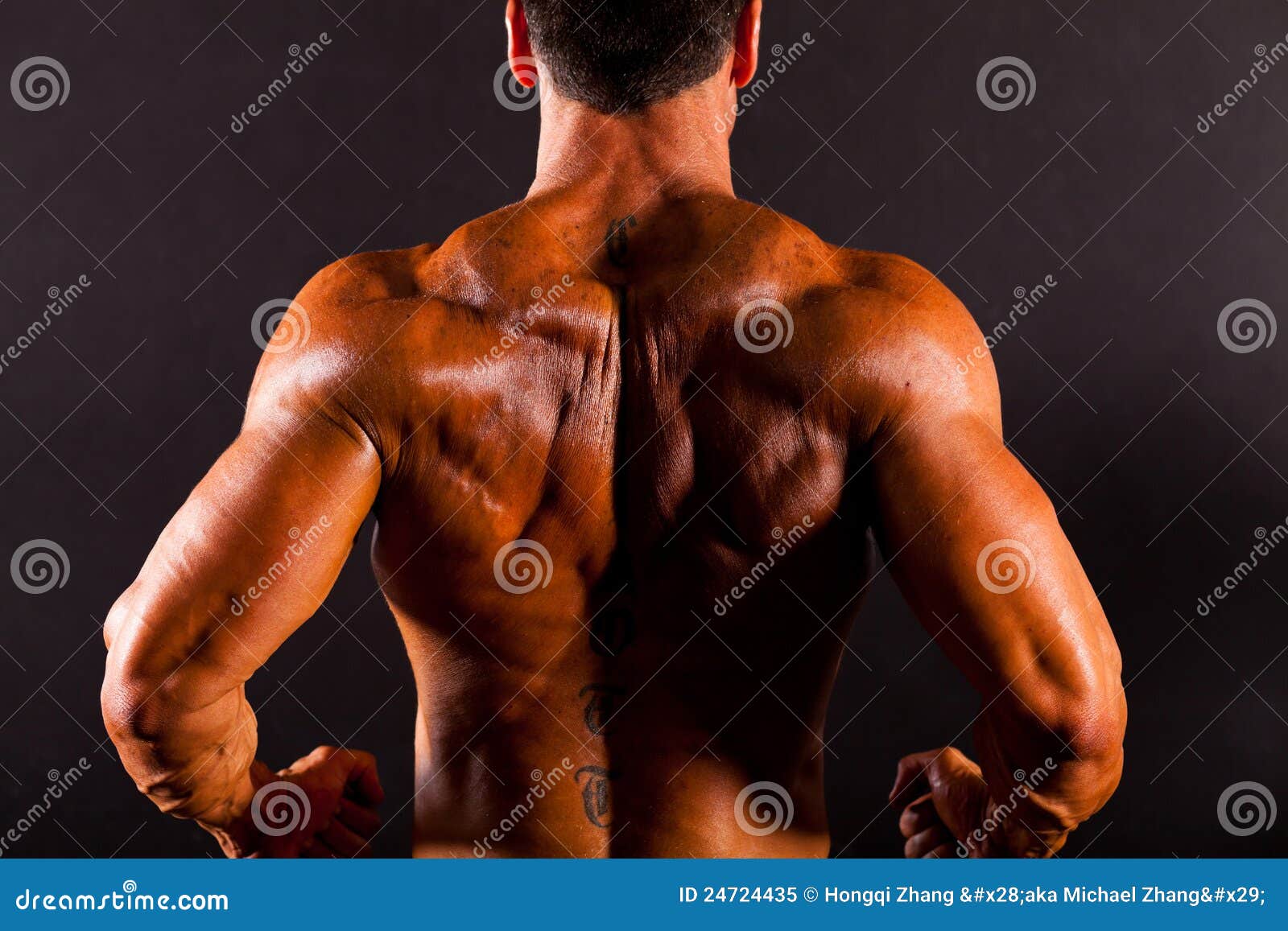 Bodybuilder s back stock image. Image of hunk, health - 24724435