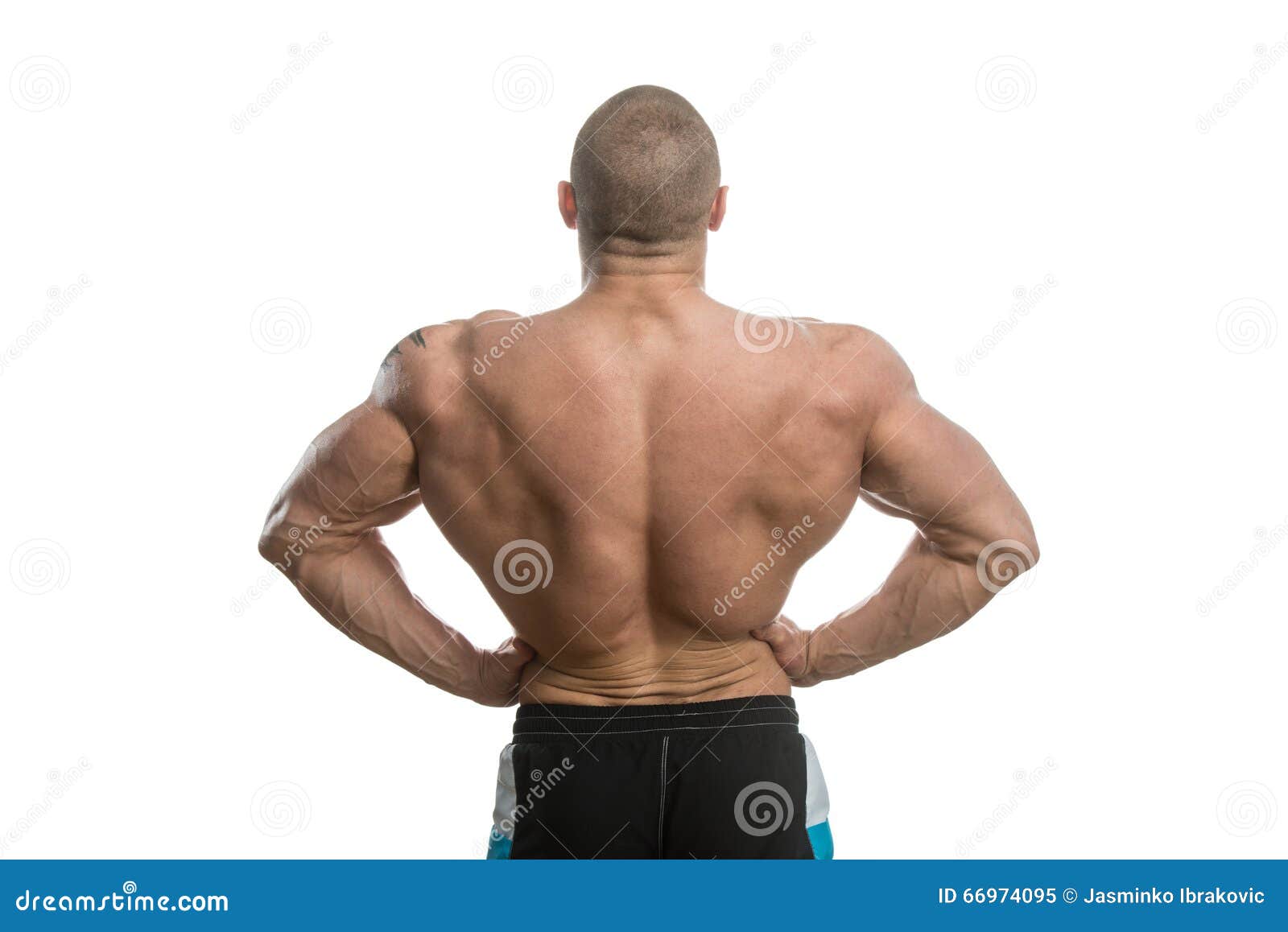 Bodybuilder Showing His Back Over White Background Stock Image - Image ...